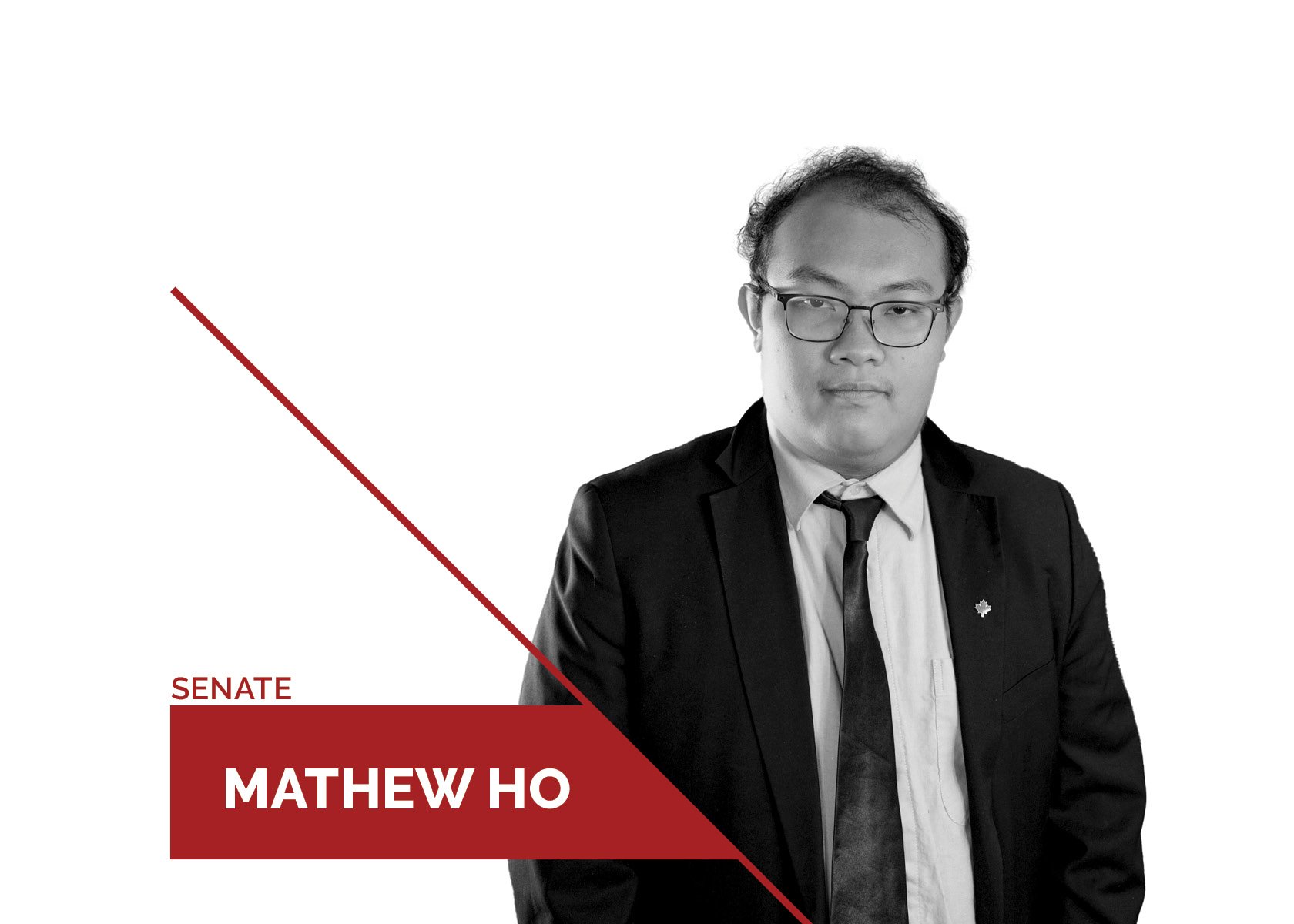 Candidate profile: Mathew Ho, Senate