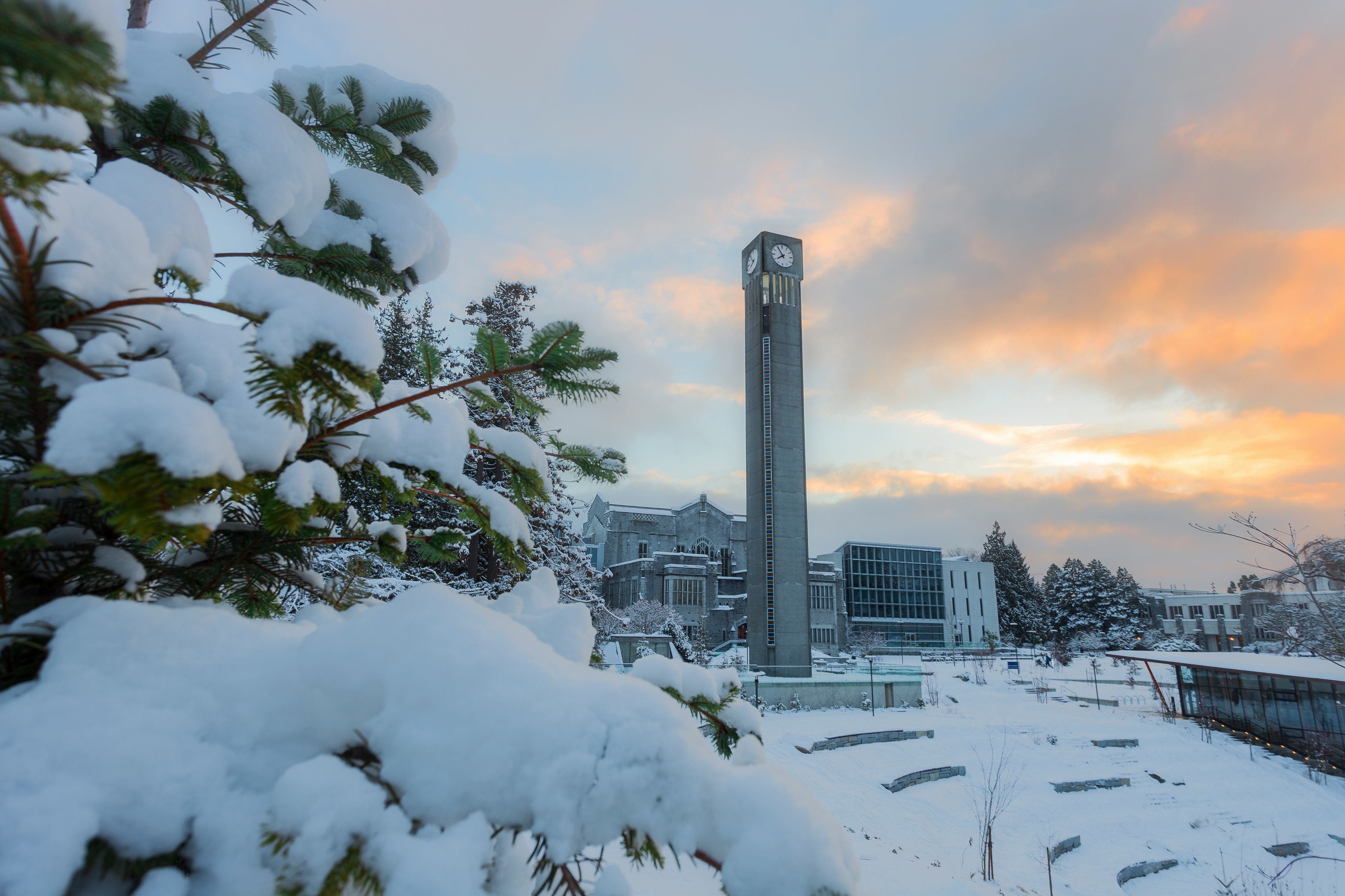How to survive the UBC snow