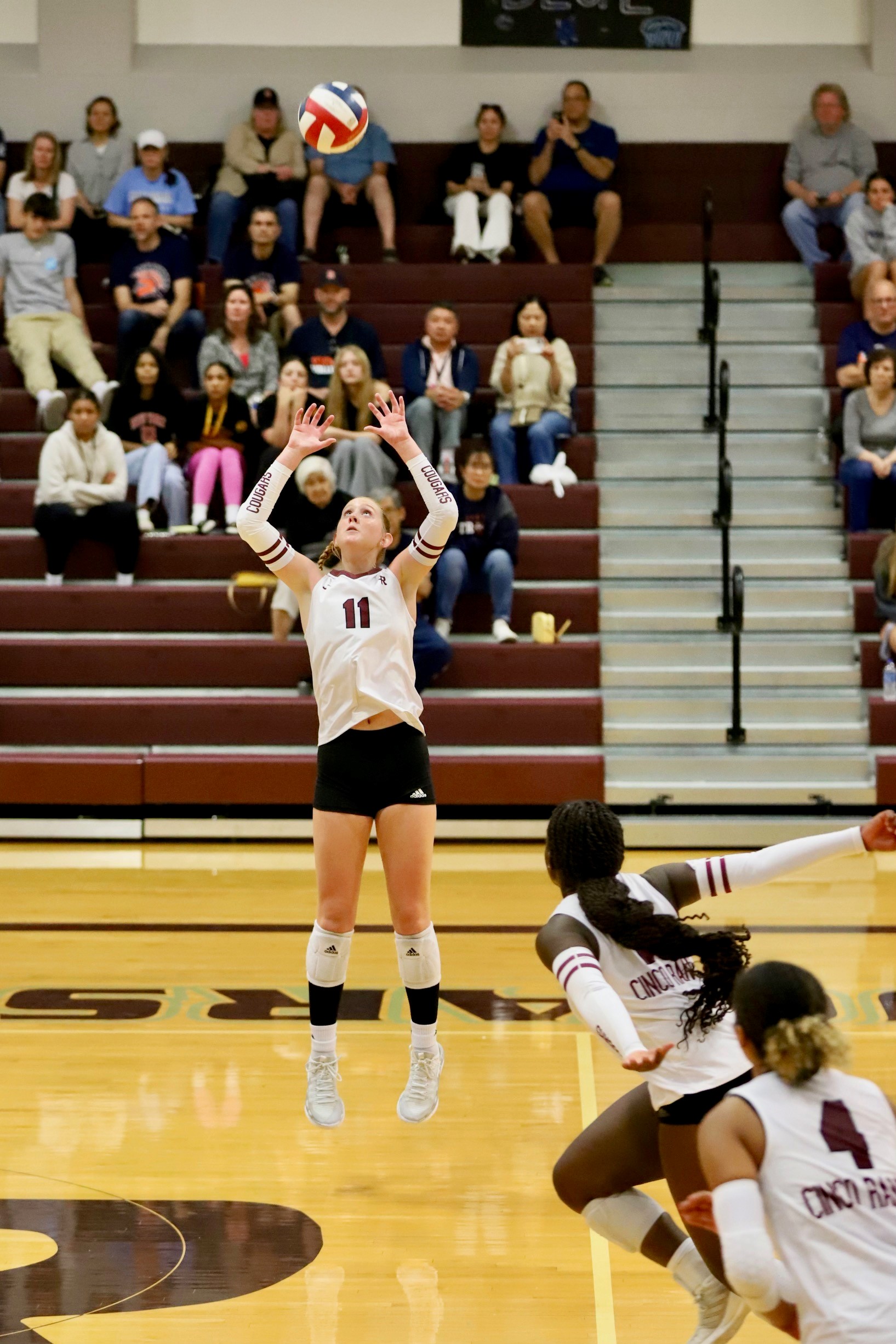 Kentucky Volleyball Adds Three Players to 2025 Squad – UK Athletics