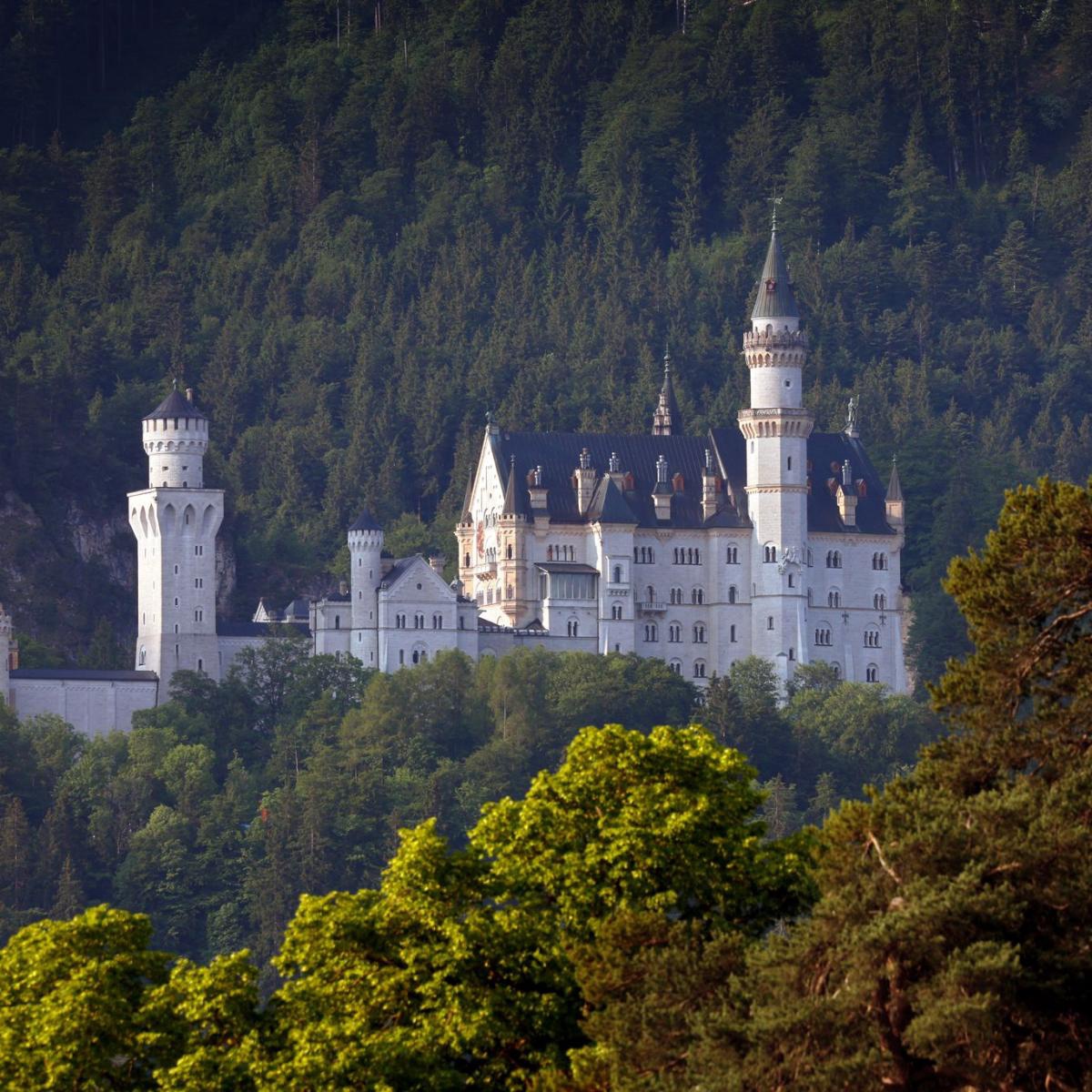 Particle: Bavaria's Palaces Report 2025 Visitor Uptick and Record ...