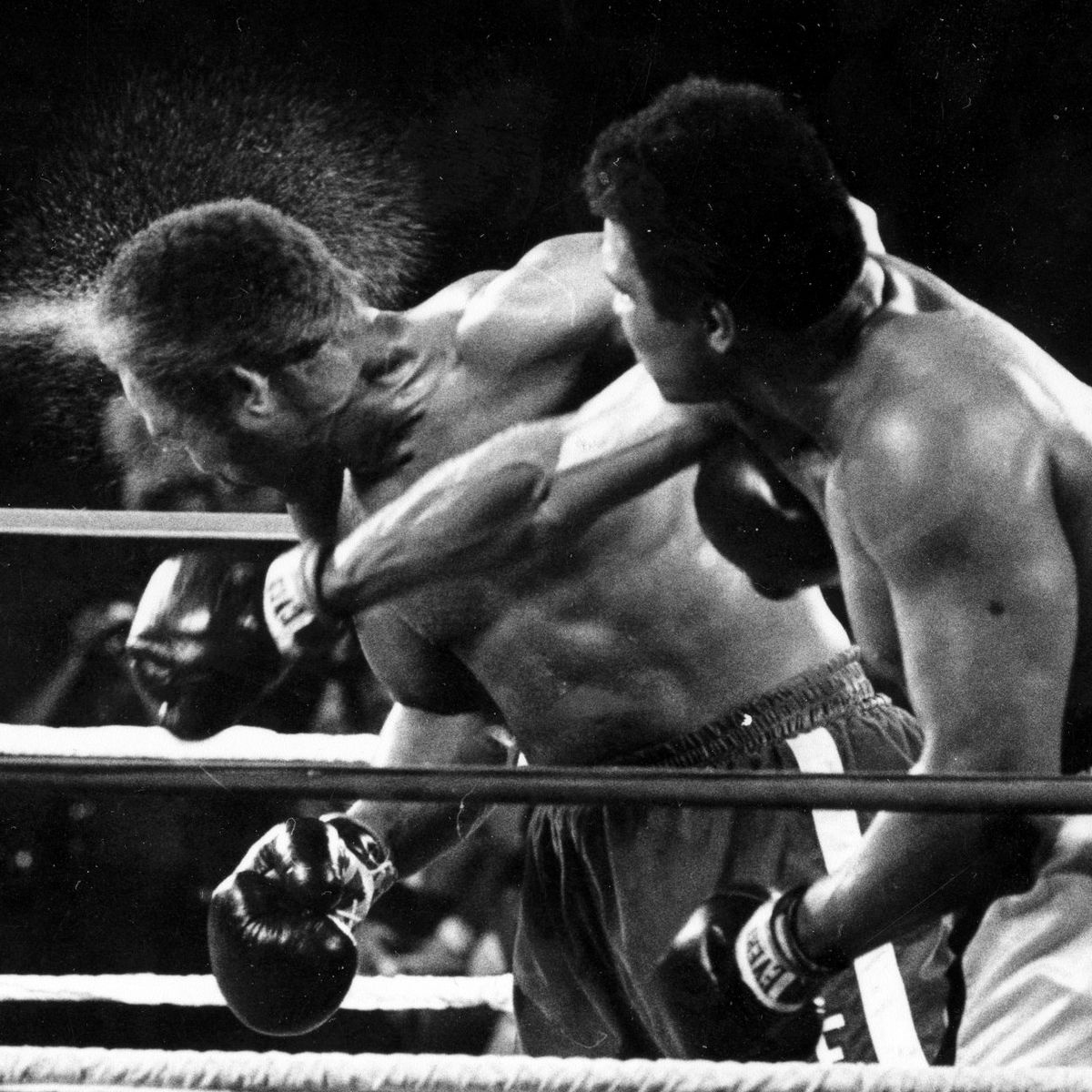 Particle News: 50 Years On: The Legacy of Ali's 'Rumble in the Jungle ...