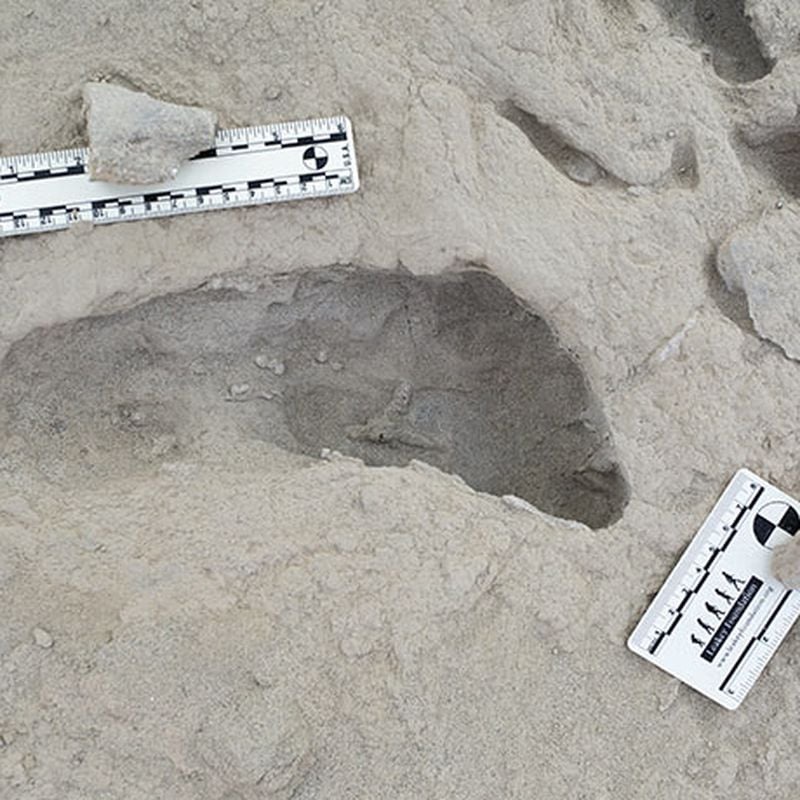 Particle News: 1.5-Million-Year-Old Footprints Reveal Coexistence of ...