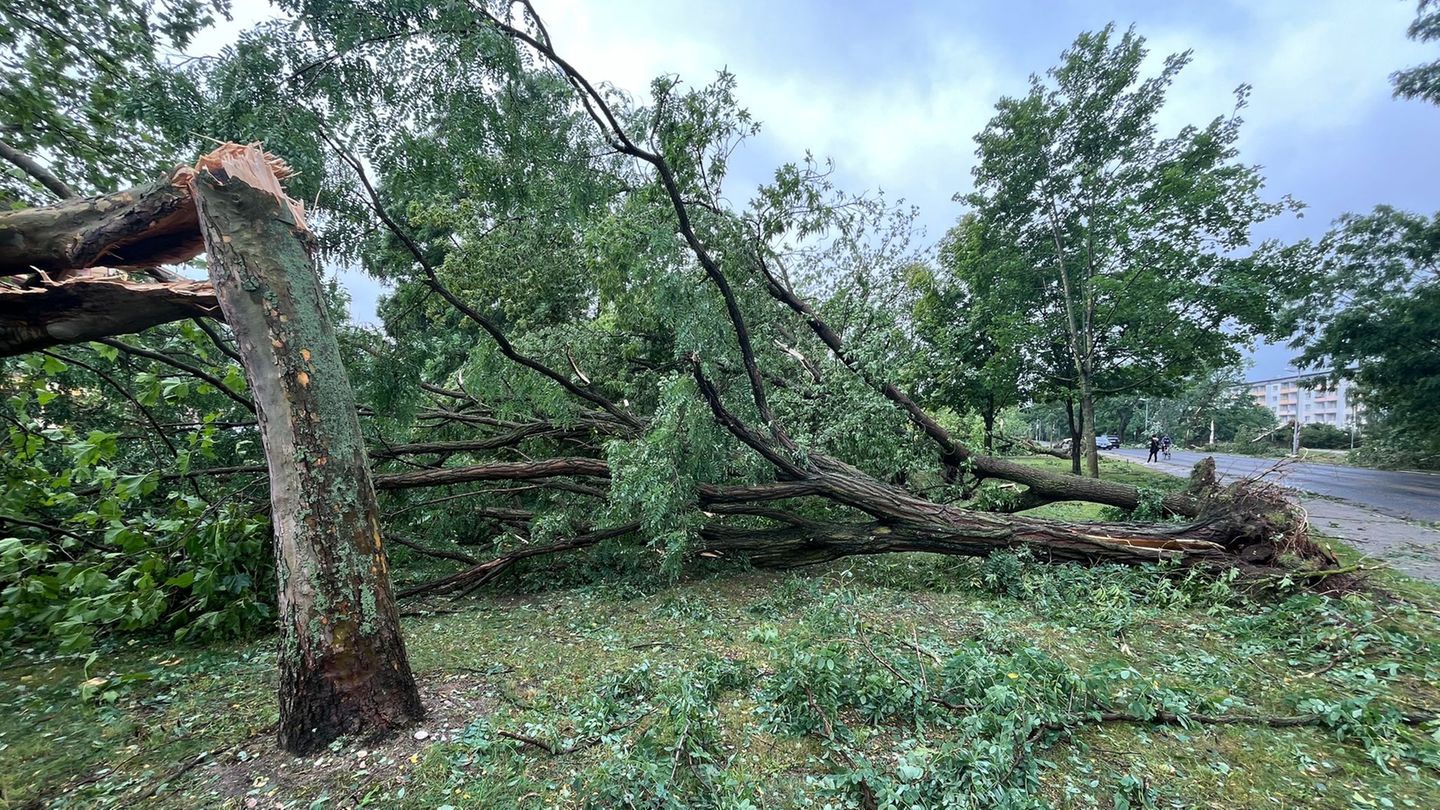 Particle: Germany's Insured Weather Losses Fell to €1.4 Billion in 2025