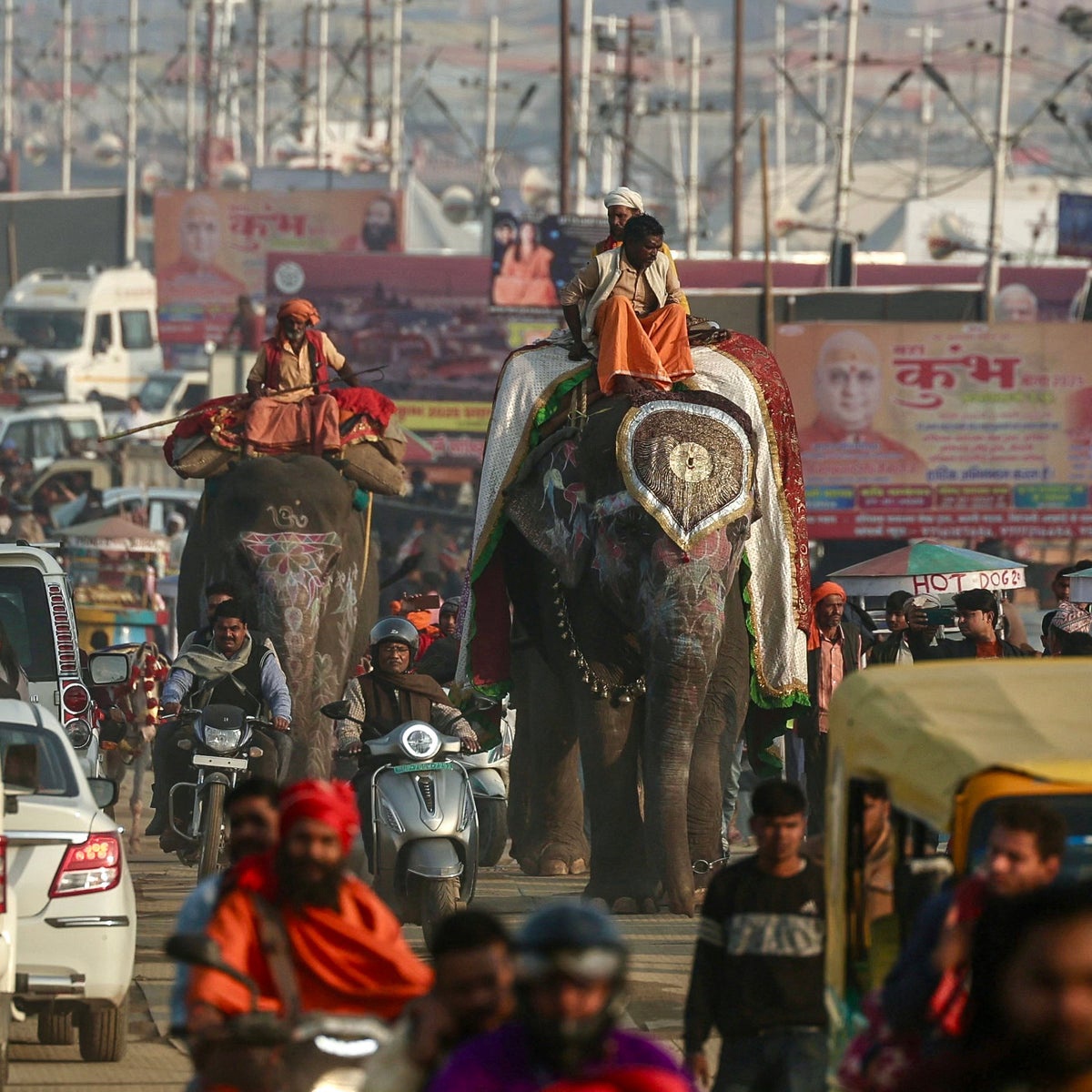 Particle News: Three Dead, Dozens Injured as Elephants Run Amok at ...