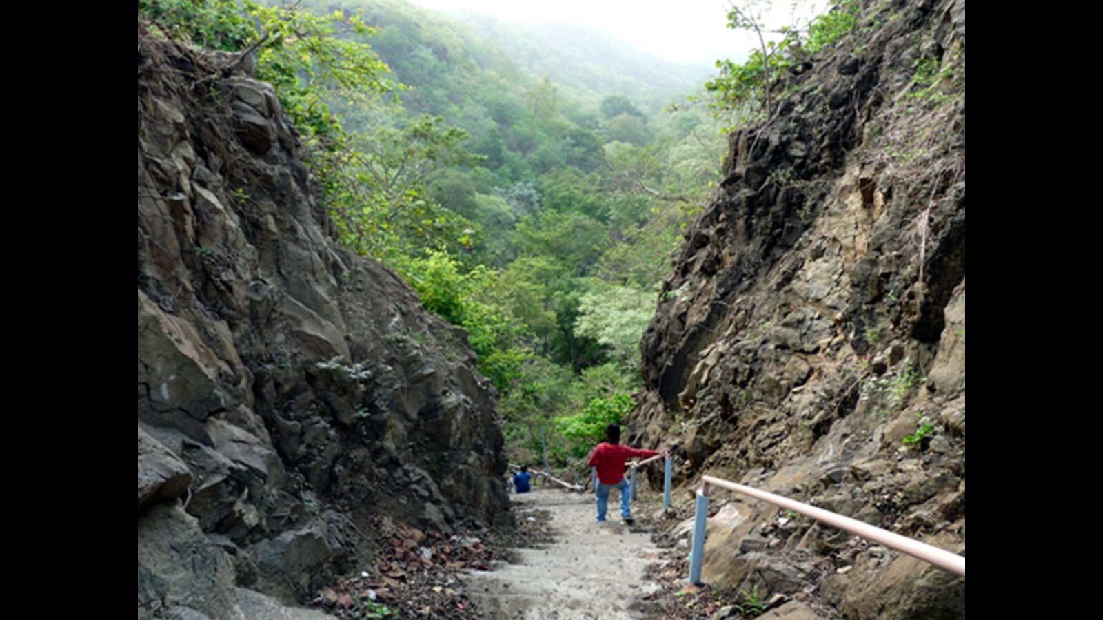 Particle News: Audit Reveals Misuse of Uttarakhand Forest Conservation ...