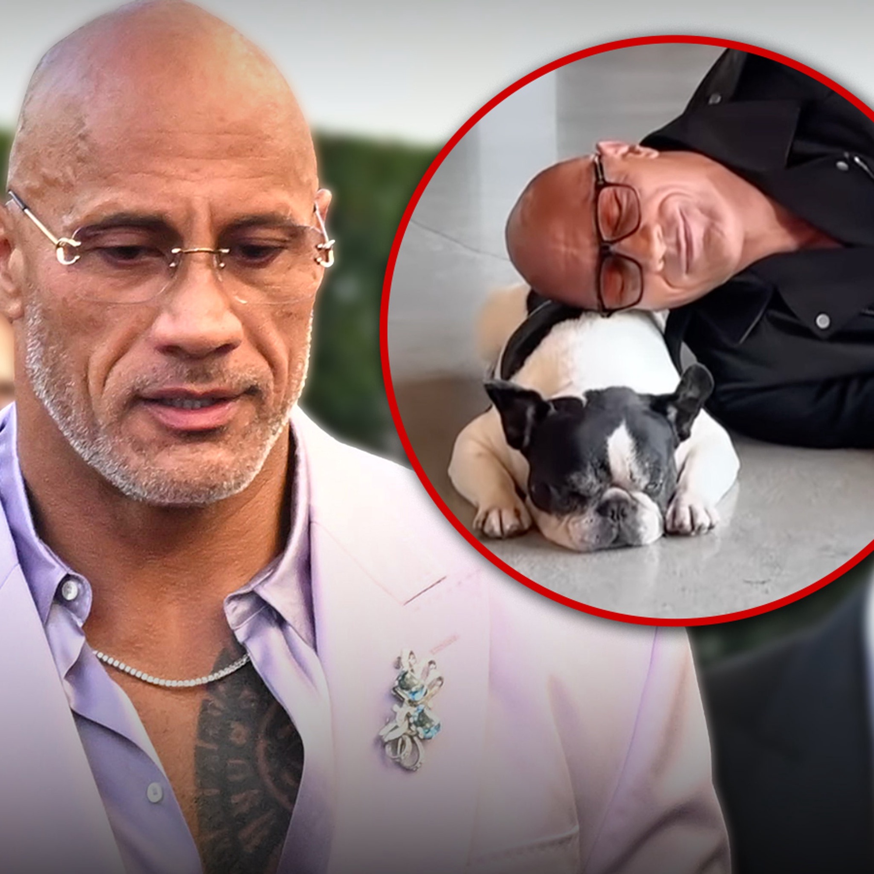 Particle News: Dwayne Johnson Mourns the Loss of Beloved Dog Hobbs