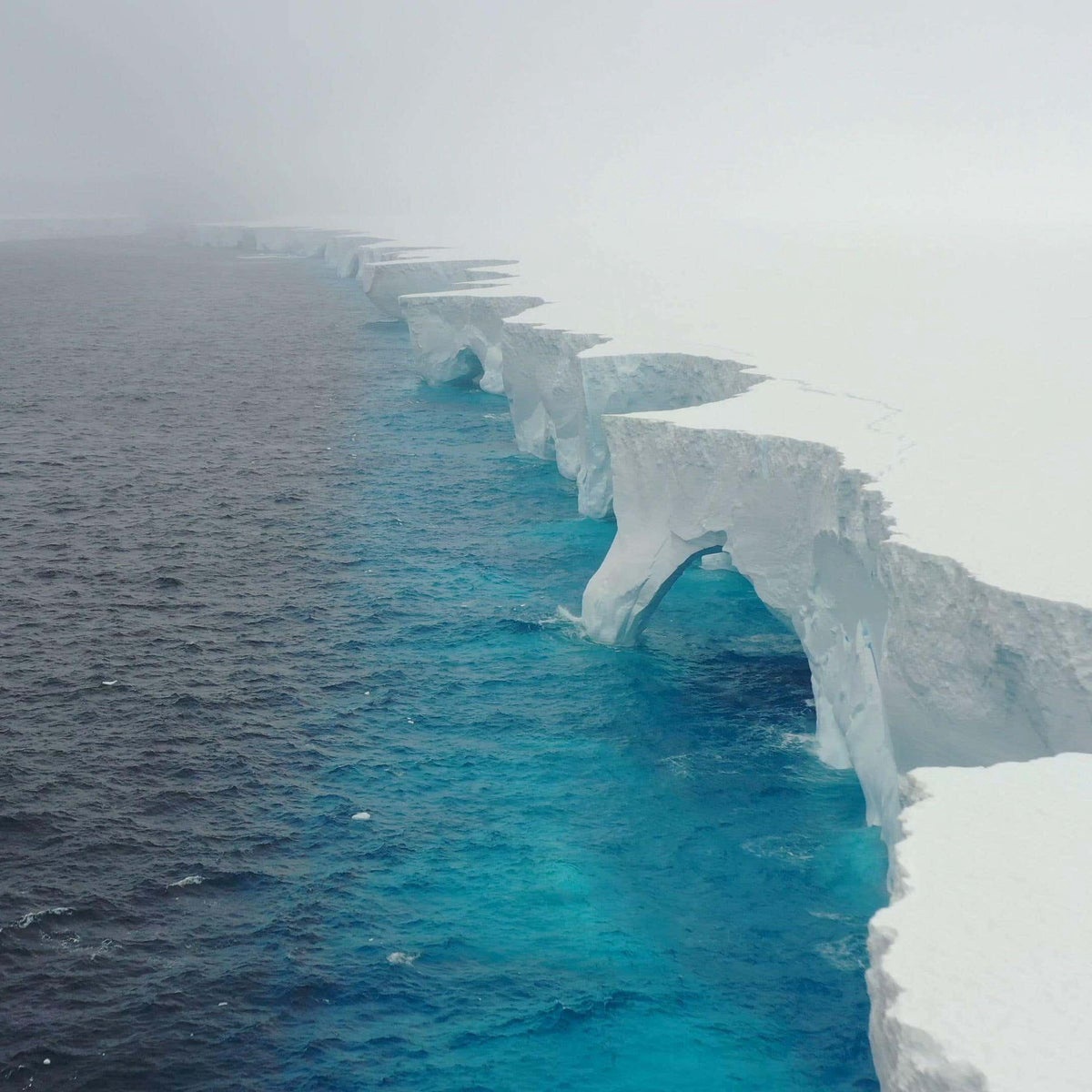 Particle: World’s Largest Iceberg A23a Runs Aground Near South Georgia ...