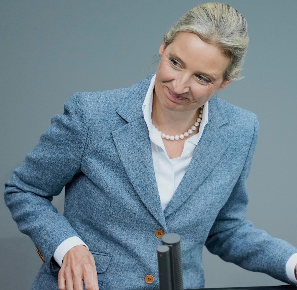 Particle News: Bundestagsverwaltung Investigates €2.35 Million AfD ...