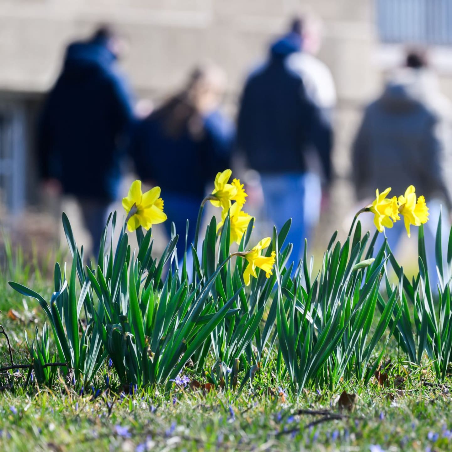 Particle News: Germany Welcomes Spring with Mild and Varied Weather Ahead