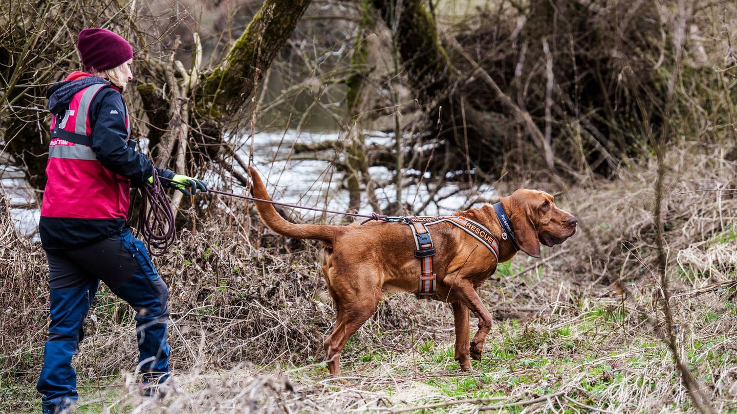 Particle News: Search for Missing Six-Year-Old Pawlos Continues Without ...