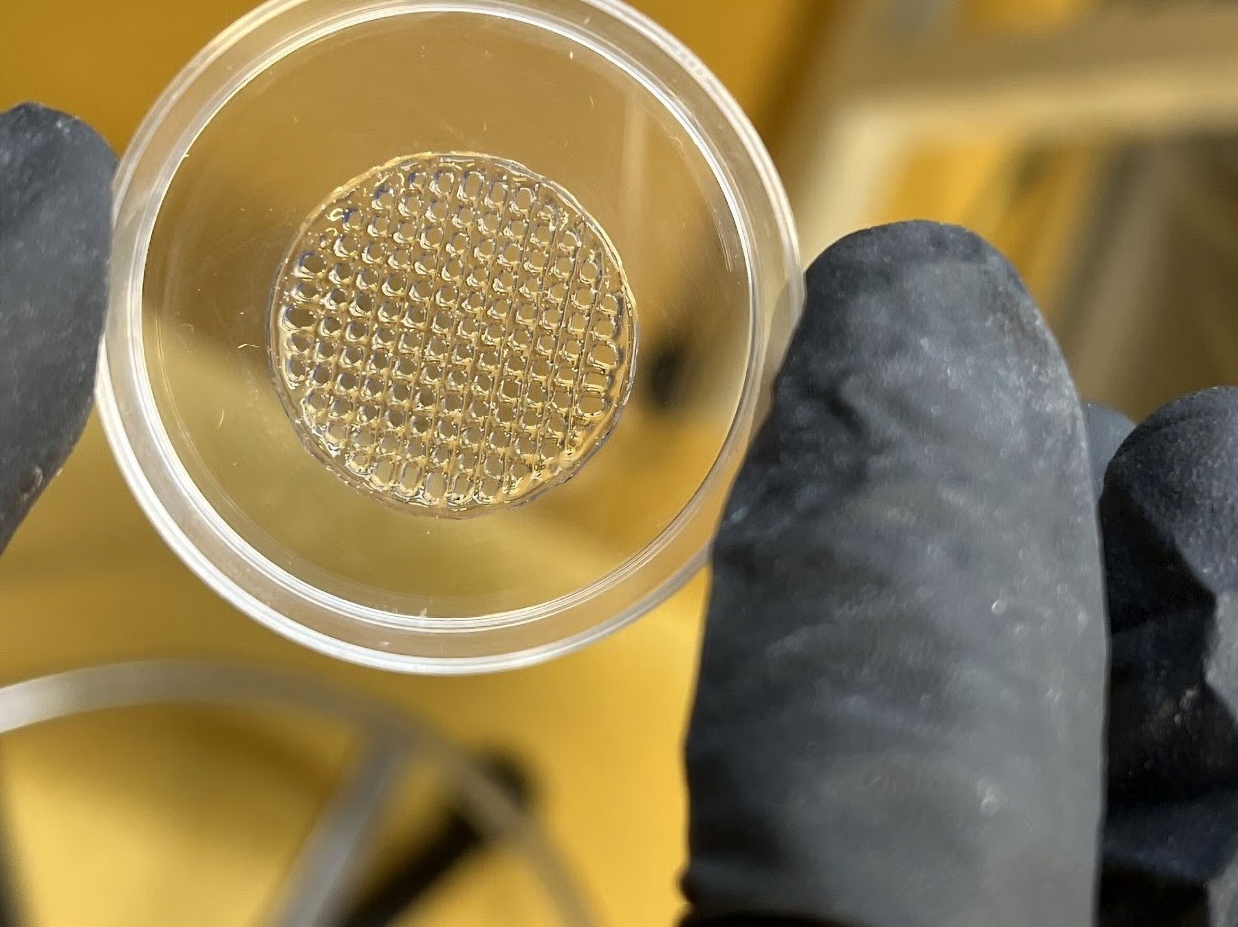 Particle News: 3D-Printed Skin Models Ready for Cosmetic Nanoparticle ...