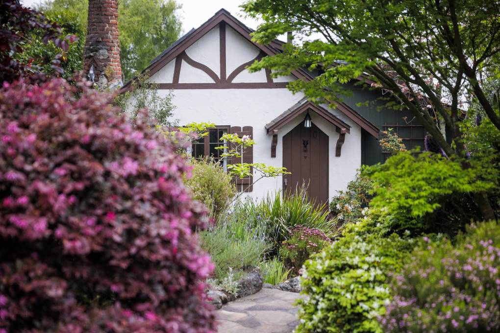 Particle News: Berkeley Approves Ember-Resistant Landscaping Ordinance ...