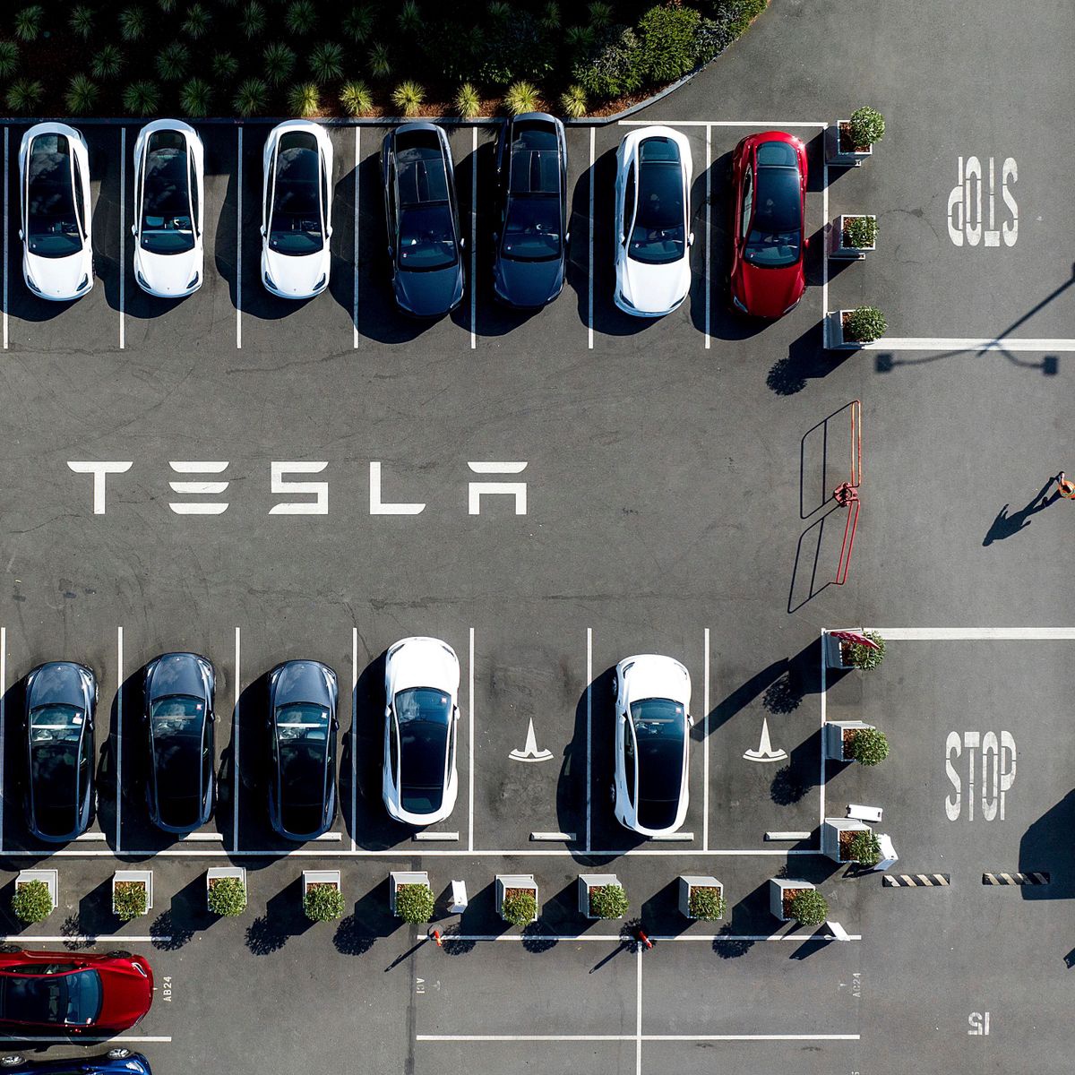 Particle News: Tesla Faces Class-Action Lawsuit Over Alleged Odometer ...