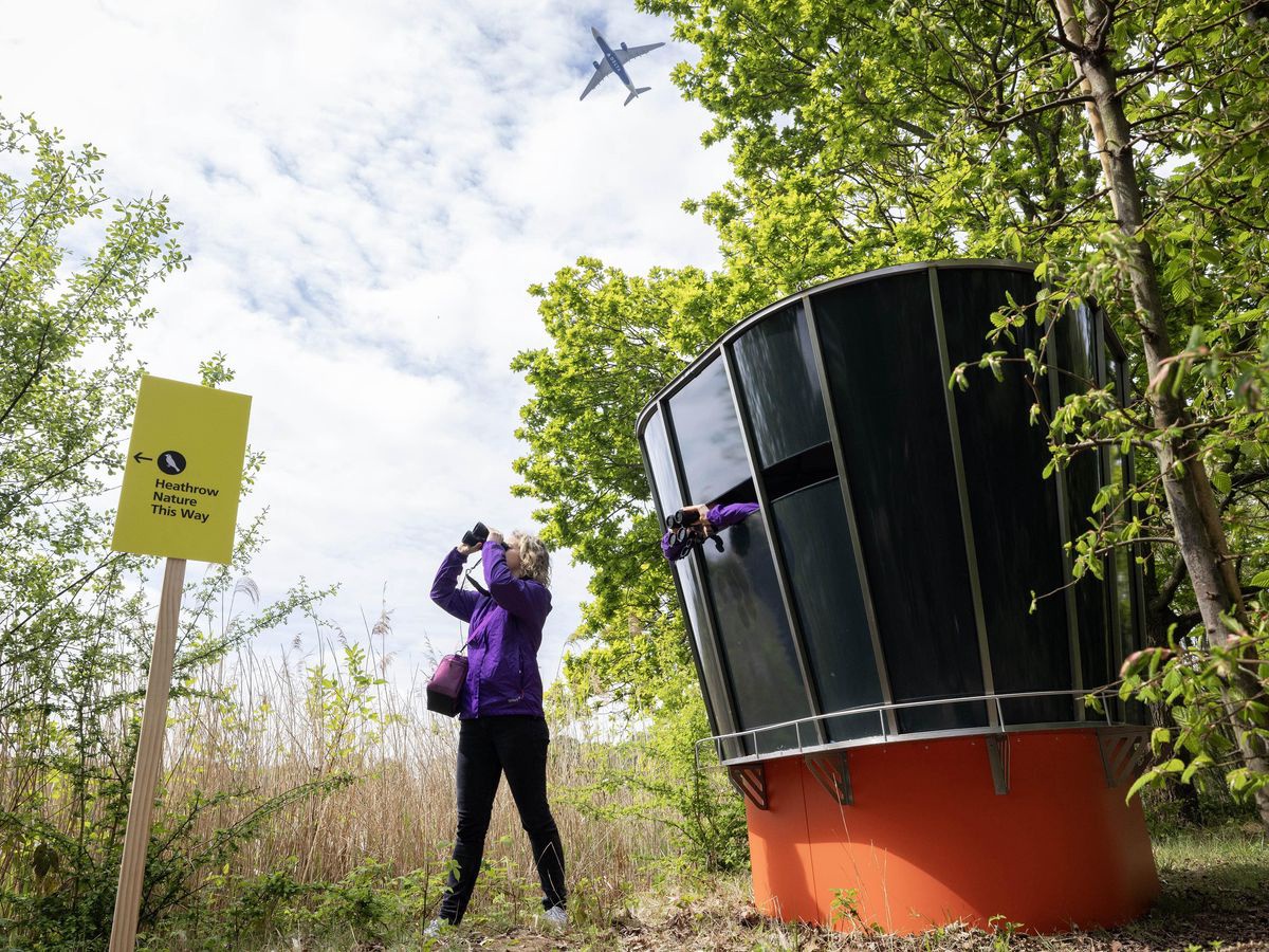 Particle: Heathrow Airport Launches Bird Hide Inspired by Control Tower ...