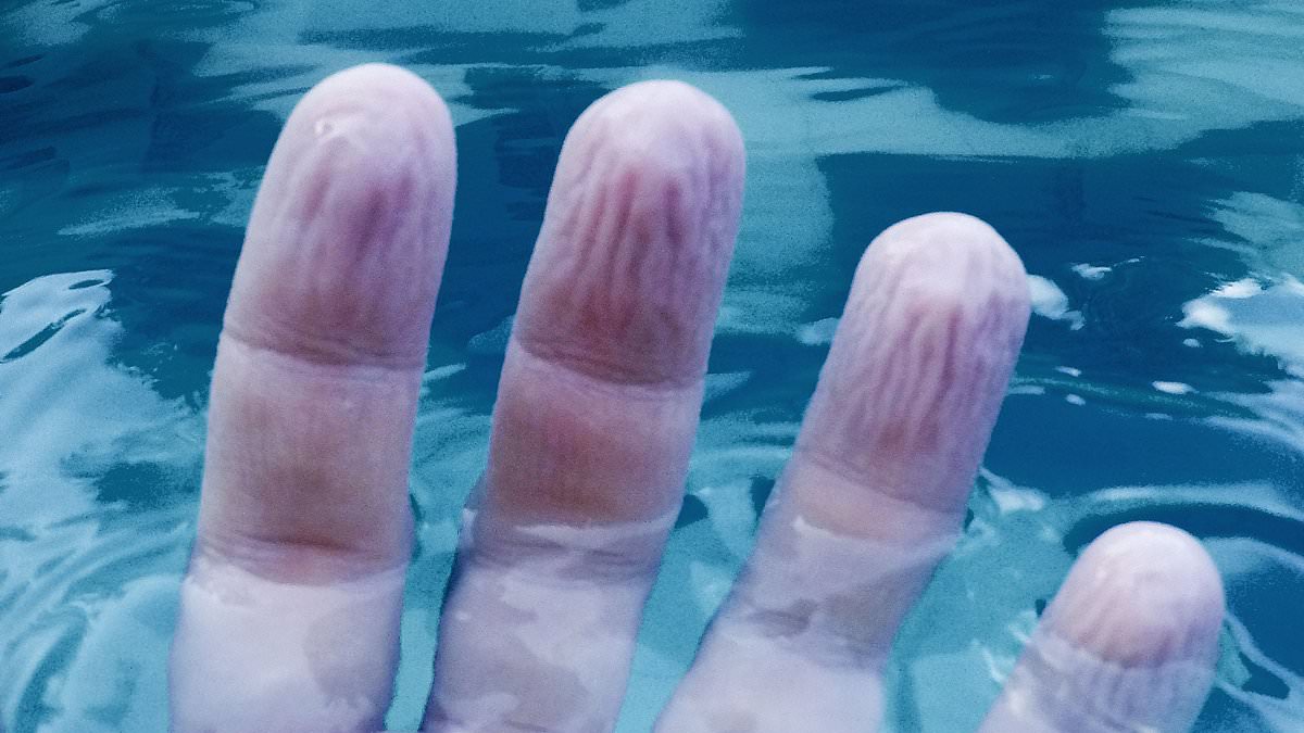 Particle: Scientists Confirm Nerve-Driven Cause of Water-Induced Finger ...
