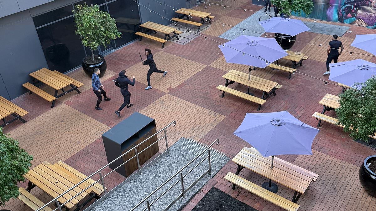 Particle: Melbourne Gang Brawl Prompts Immediate Machete Sale Ban