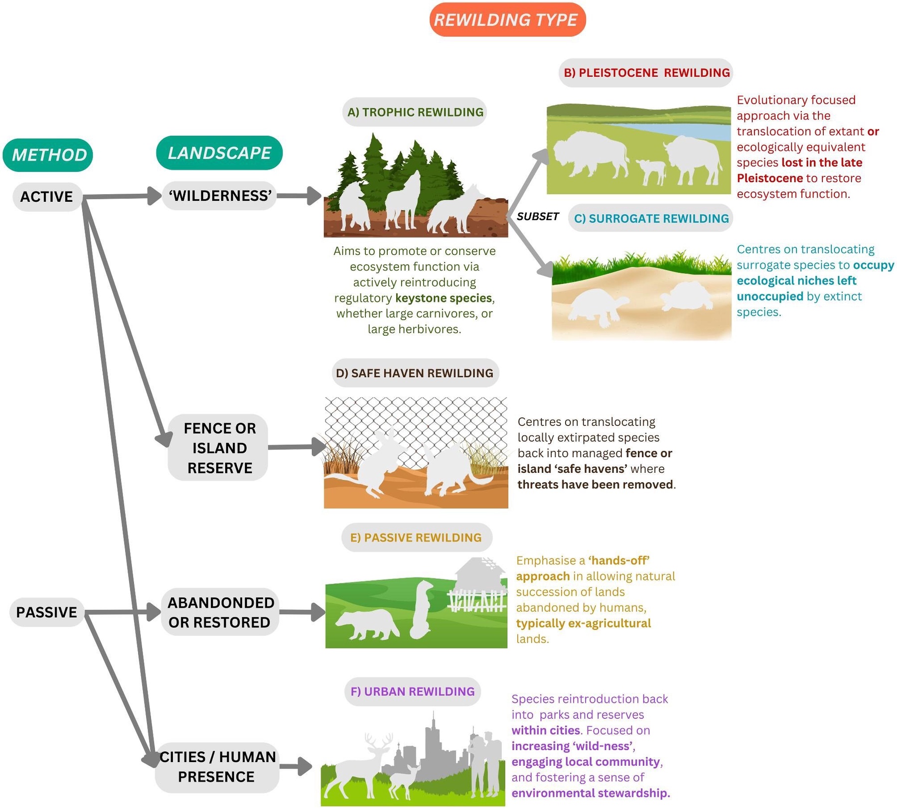 Particle News: Urban Rewilding Gains Momentum with Successful Species Reintroductions in Cities
