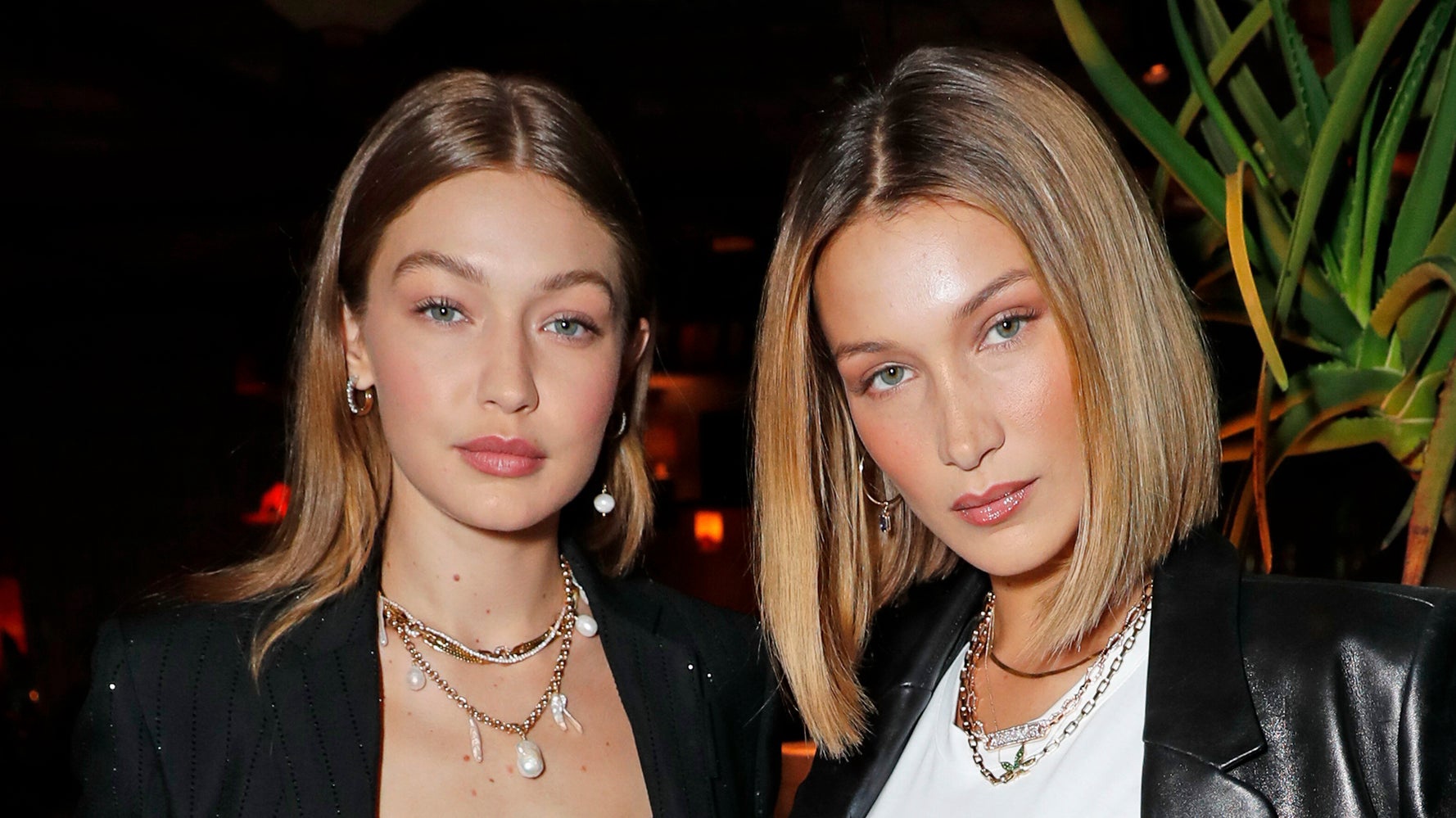 Particle News: Gigi and Bella Hadid Introduce 23-Year-Old Half-Sister ...