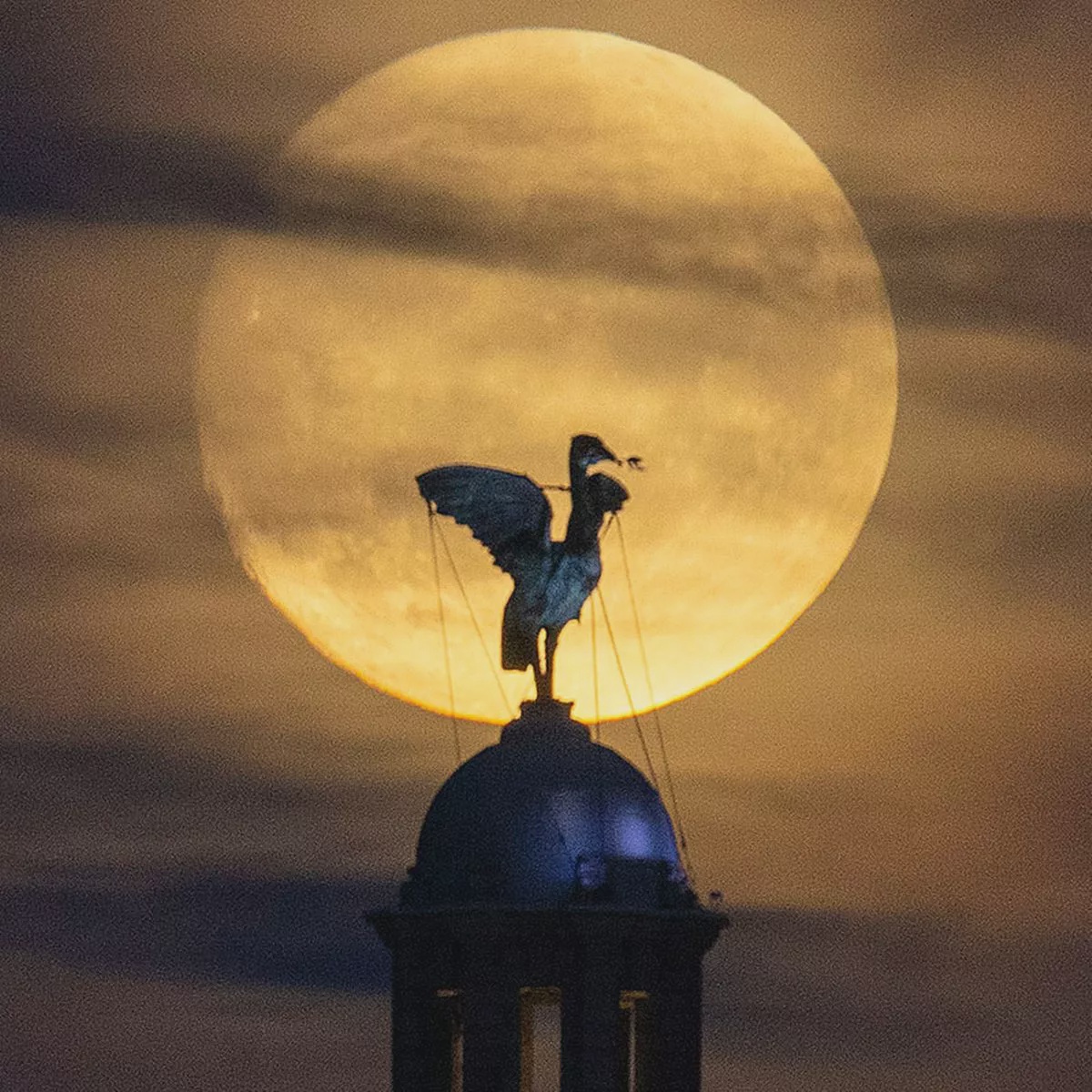 Particle News: Strawberry Moon to Rise June 11 as Lowest Full Moon ...