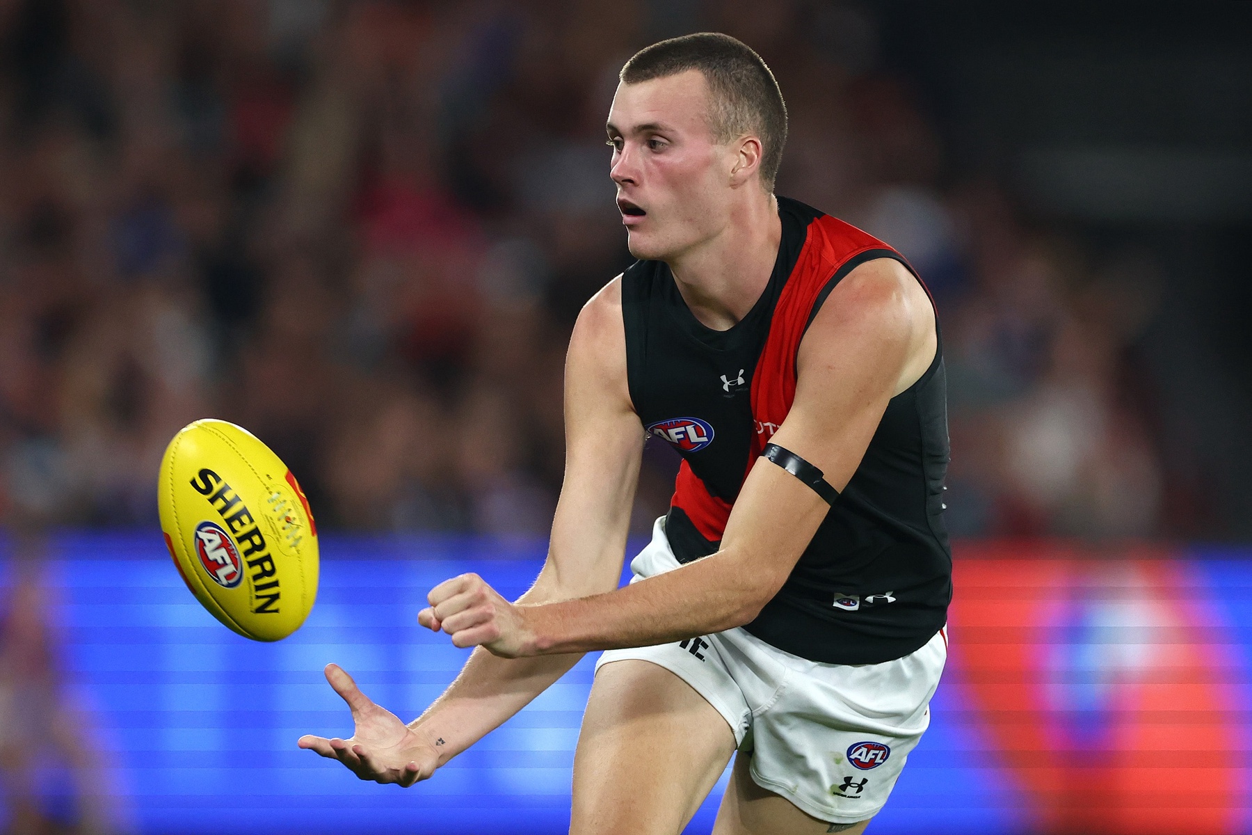 Particle: AFL Concussion Panel Rules Cox Out for 2025, Clears Him to ...