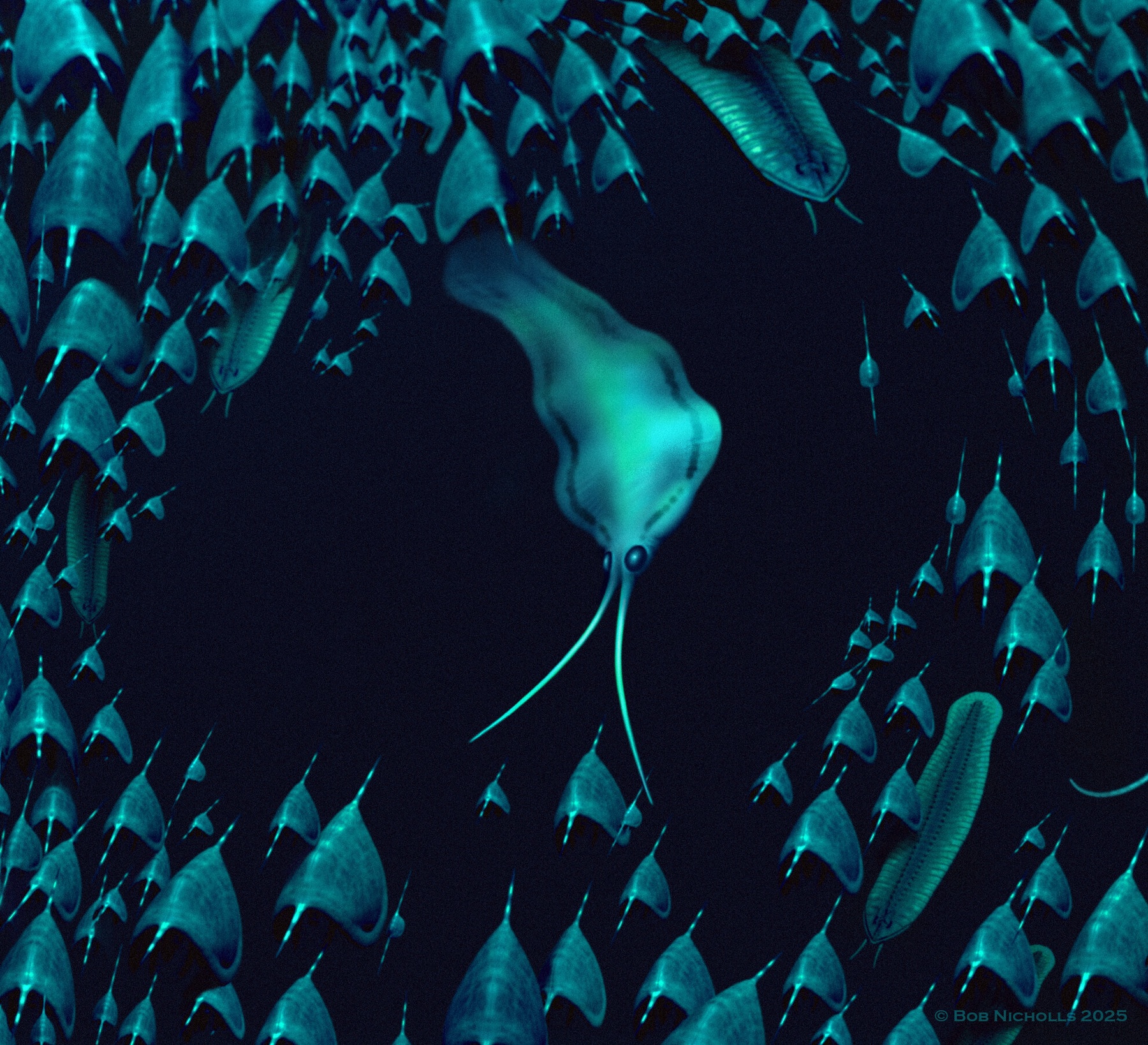 Particle News: Greenland Fossils Show Cambrian ‘Squid’ Were Ancestors ...