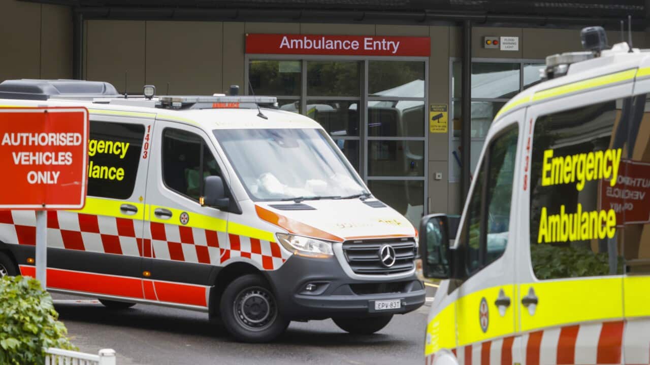Particle: NSW Hospitals Set Records as ED Access Block Persists