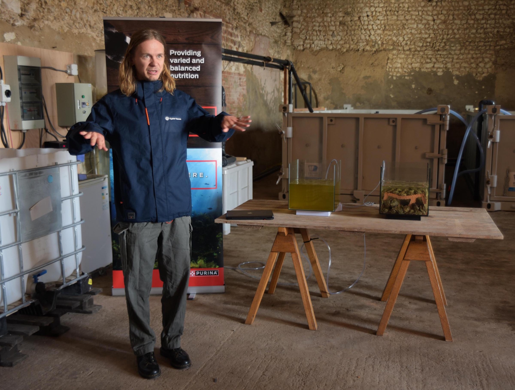 Particle: Norfolk Project Begins Placing 4 Million Oysters to Rebuild ...