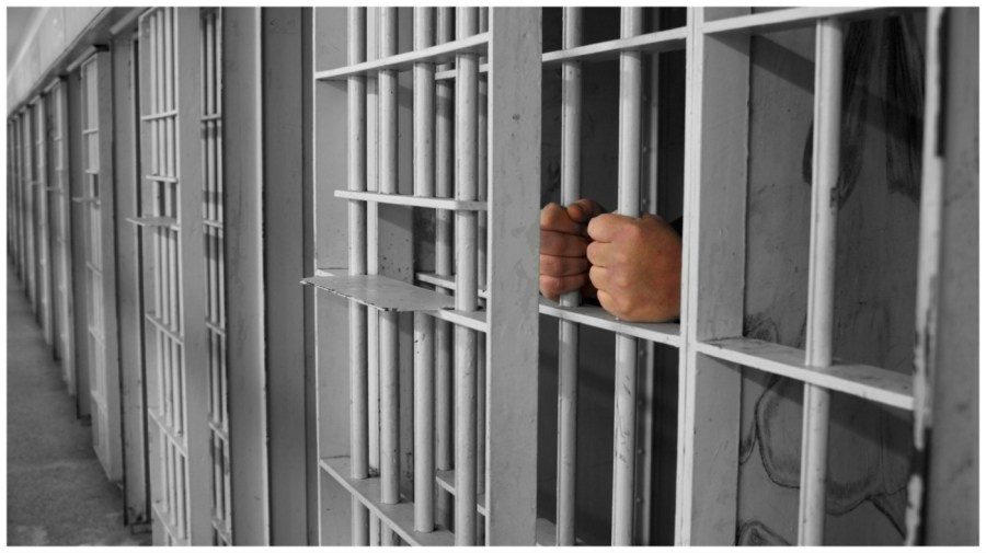 Particle News: James Collins Jr. Charged in League City Hit-and-Run ...