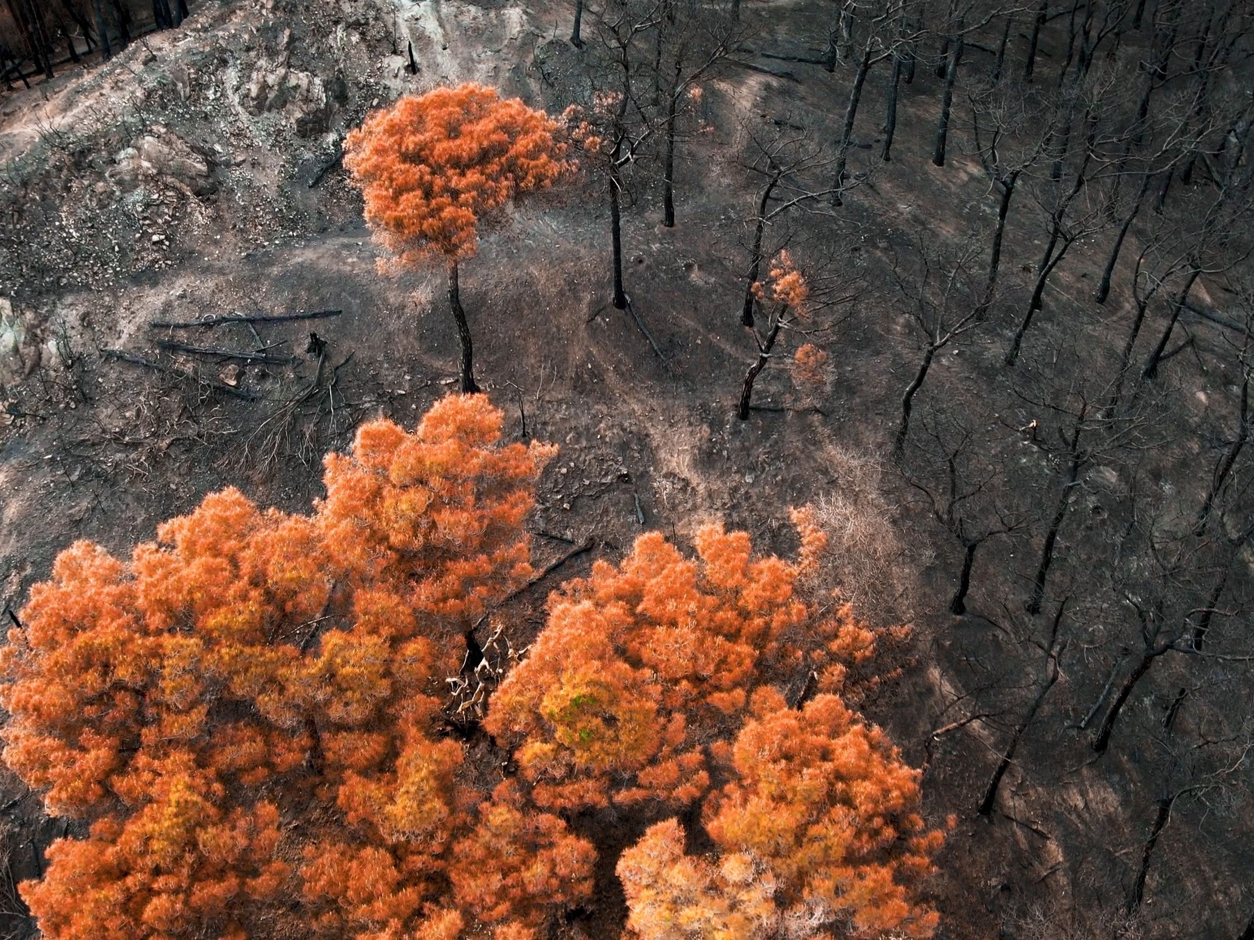 Particle: Lancet Countdown 2025 Finds Record Health Toll From Heat ...