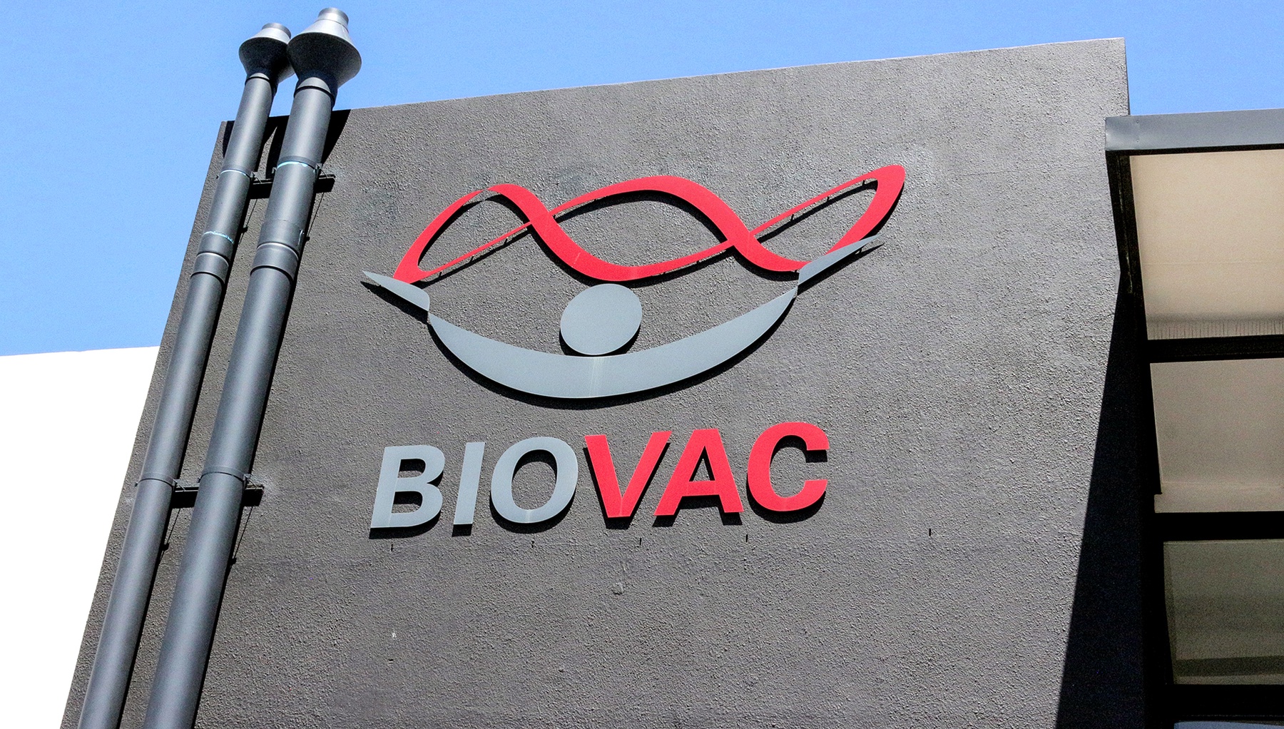 Particle: Biovac Opens Cape Town Product Development Lab to Advance ...