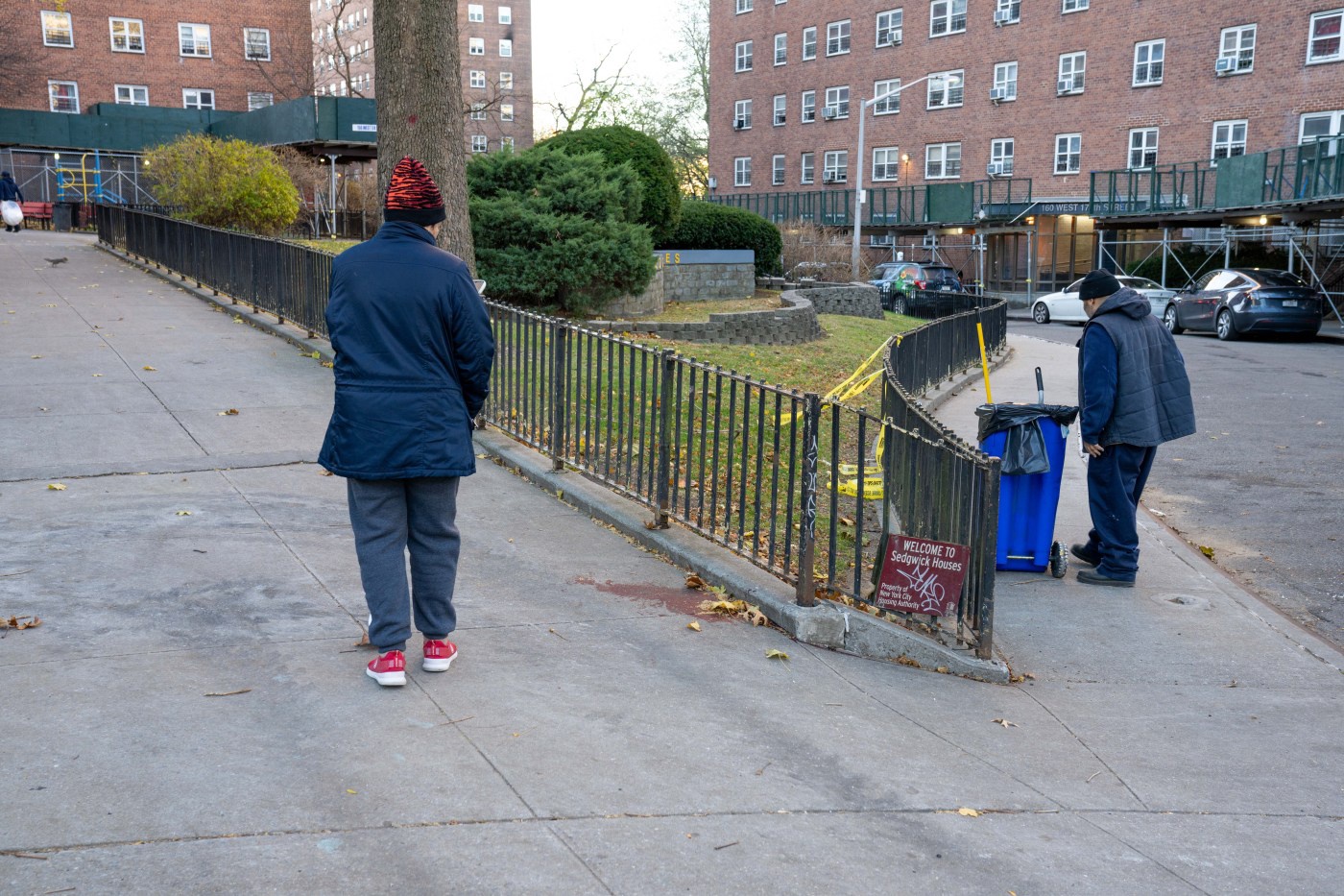 Particle News: Bronx Woman, 59, Charged in Fatal Shooting of 24-Year ...