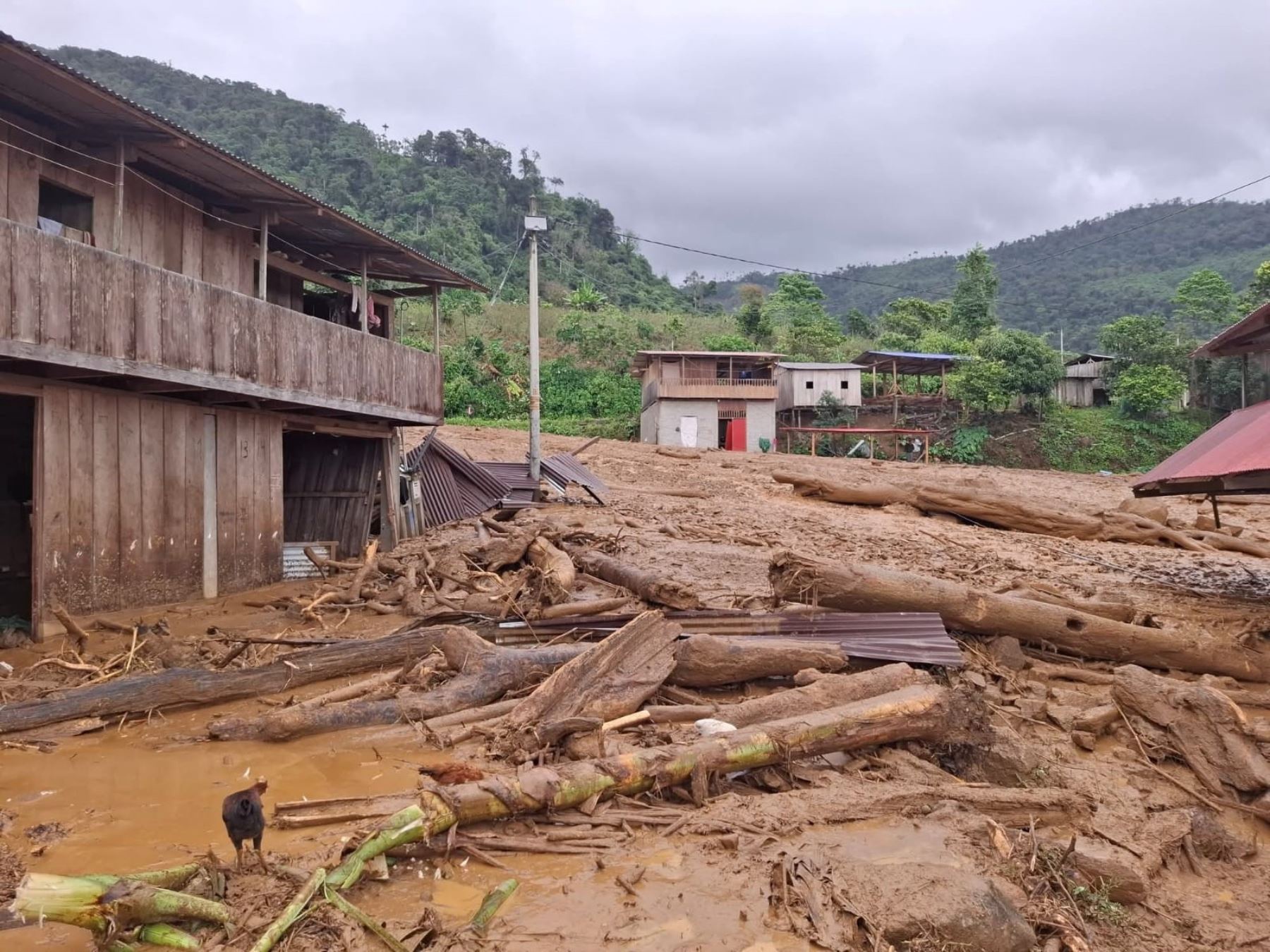 Particle: Cenepred Warns of Immediate Jungle Flood Threat and 1.18 ...