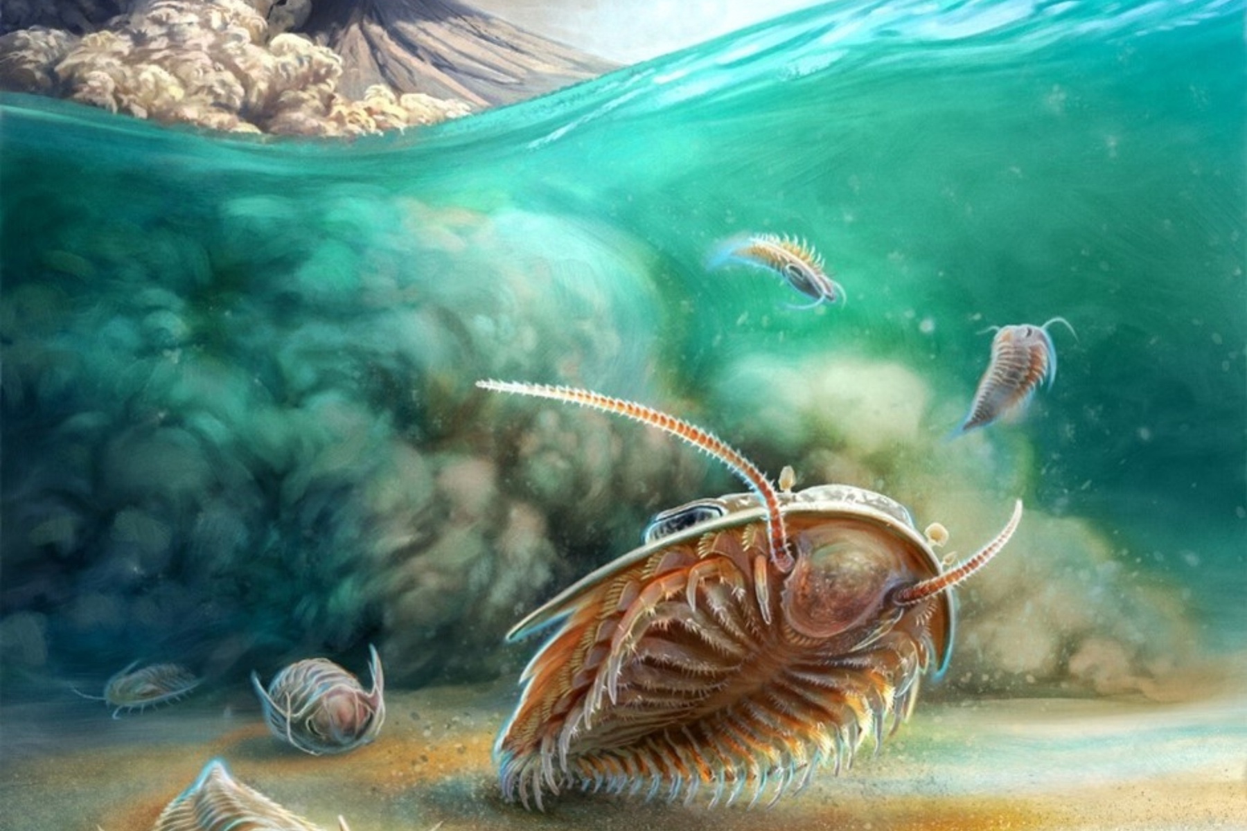 Particle News: Exceptionally Preserved Trilobite Fossils Unveil Unseen ...
