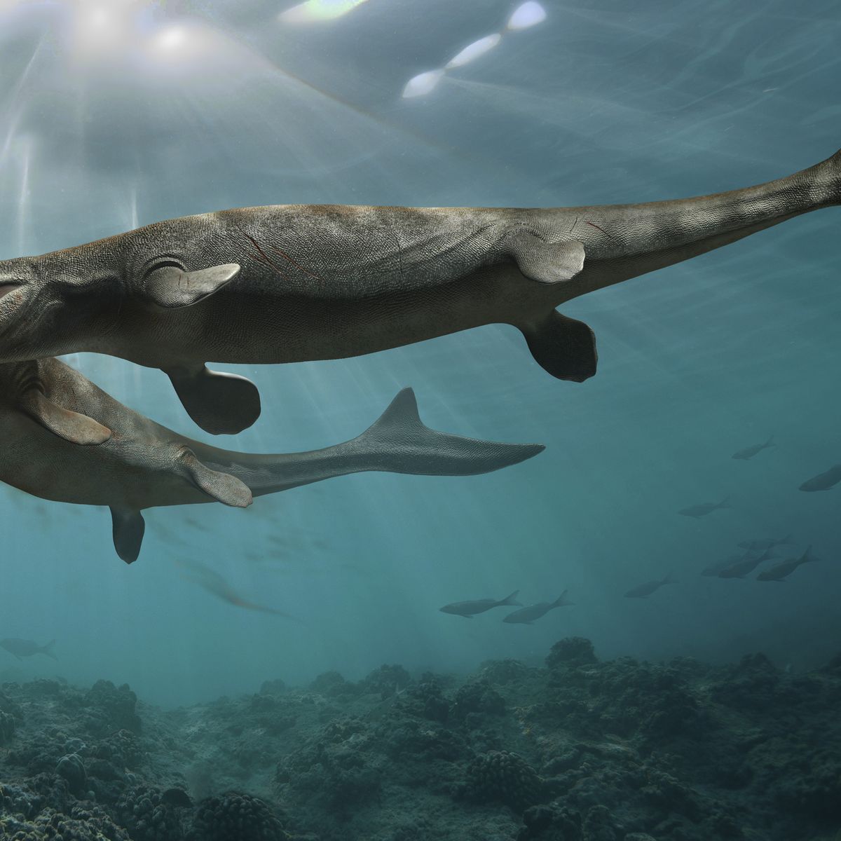Particle News: Largest Mosasaurus Fossil in Mississippi Confirmed as ...