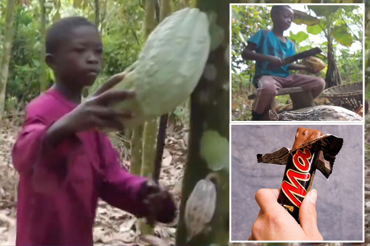 Particle News: Mars Chocolates Linked to Child Labor in Ghana