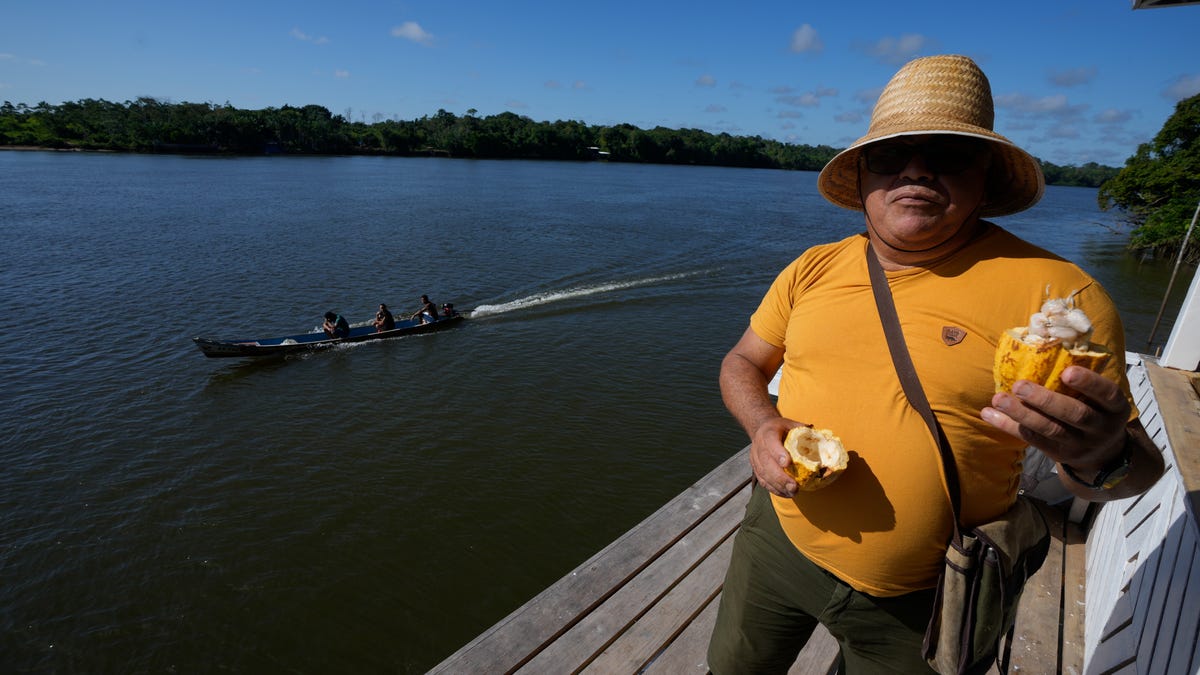 Particle News: Amazon Rainforest Under Threat: Poverty and ...