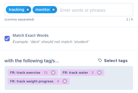 Ability to add multiple tags during auto-tag run