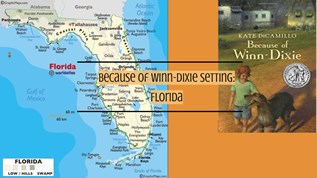 Mapa De Winn Dixie De Florida Titusville Florida Things You Need To