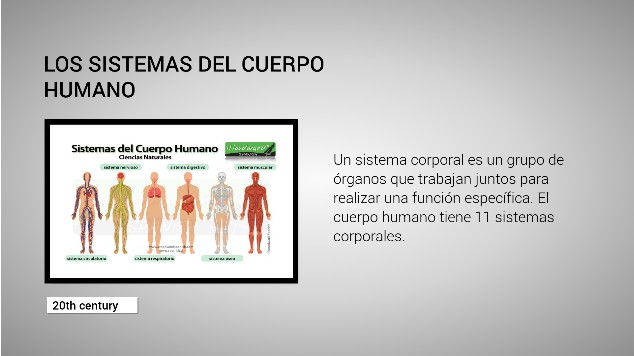 Los 11 Sistemas Del Cuerpo Humano