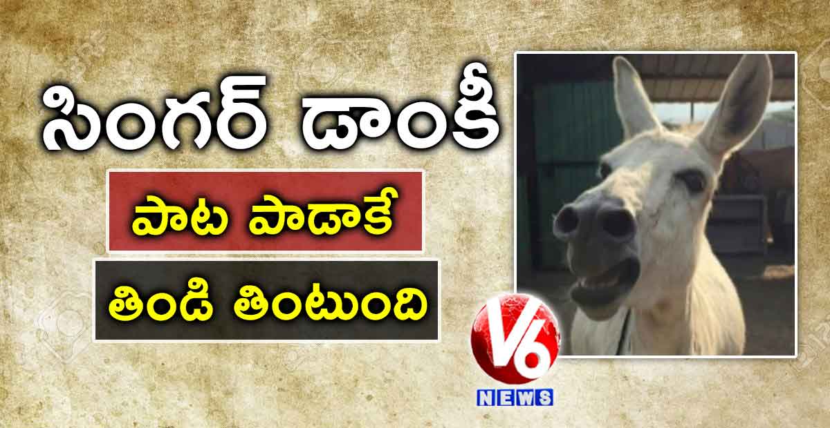 సింగర్ డాంకీ : పాట పాడాకే… తిండి తింటుంది
