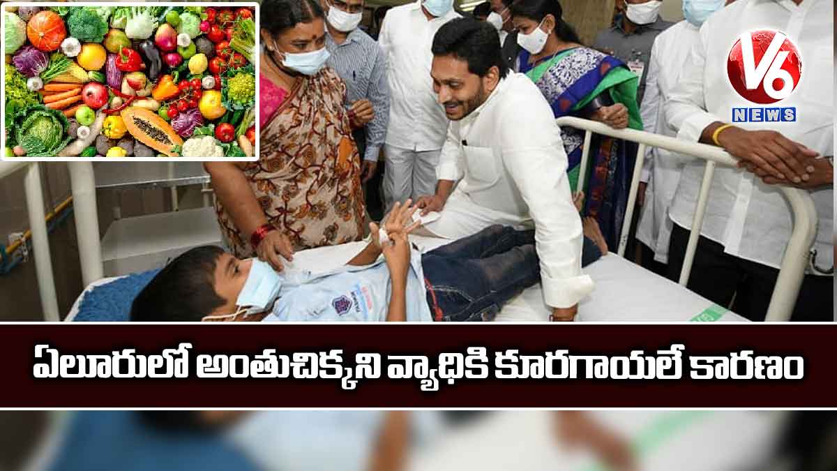 ఏలూరులో అంతుచిక్కని వ్యాధికి కూరగాయలే కారణం