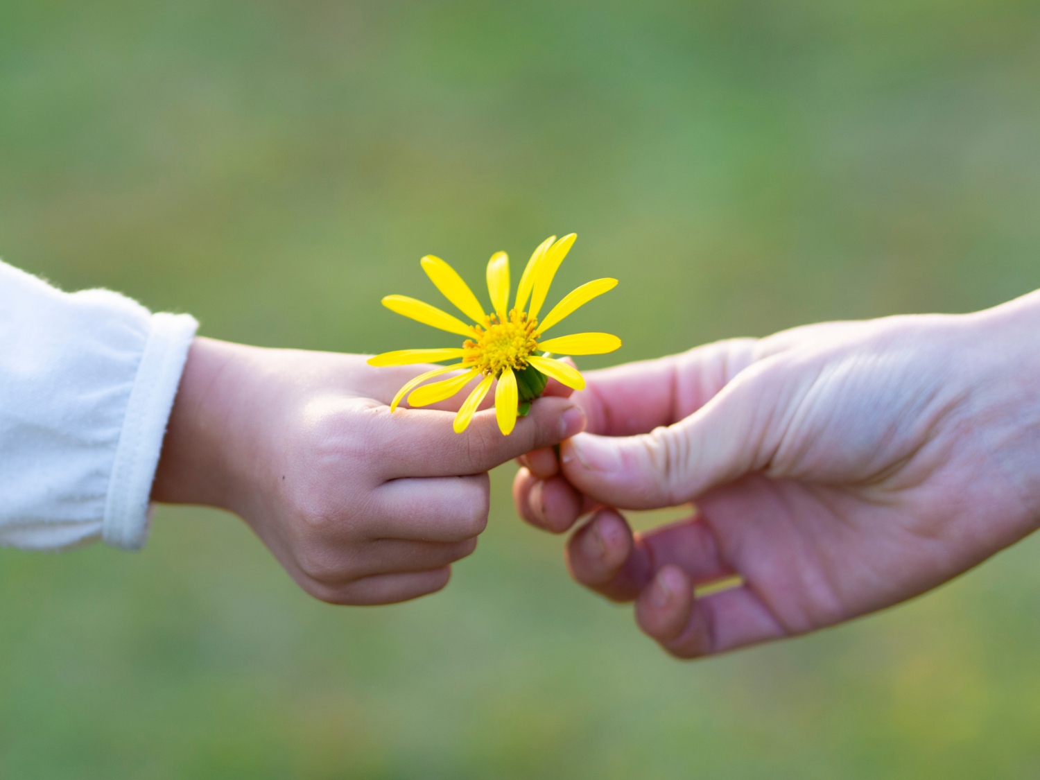 ｜JC Volunteer Together Platform｜JCVTP