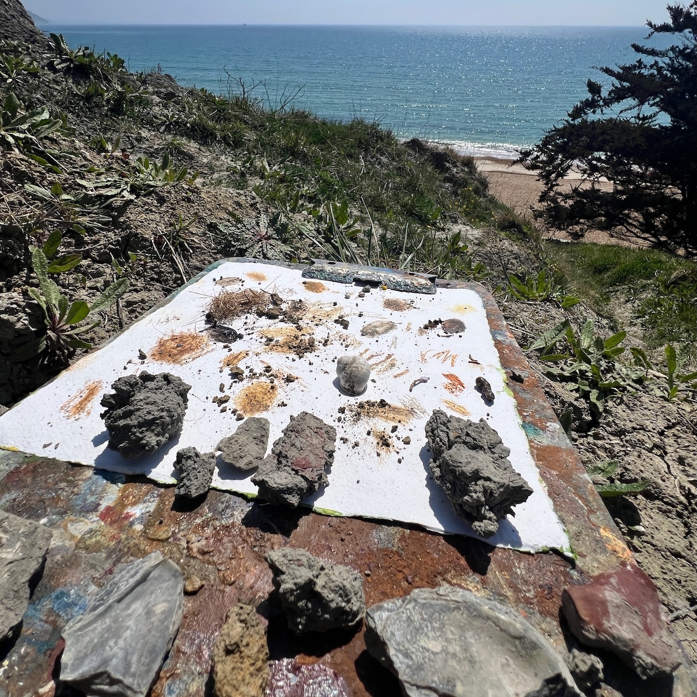 VASW – Frances Hatch: Sensing Place