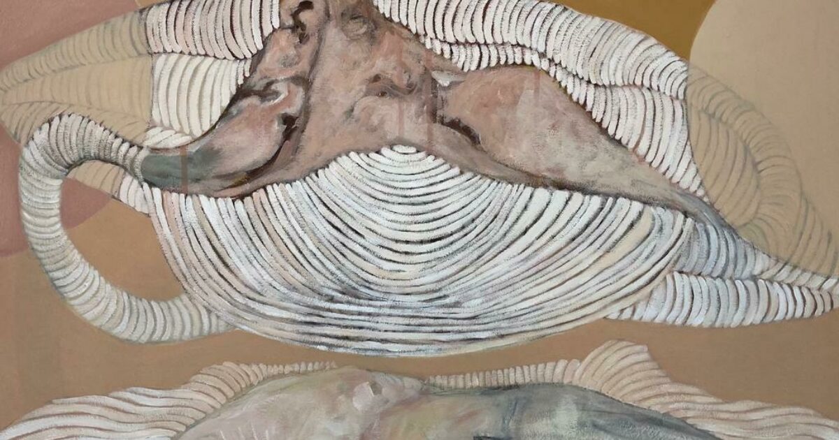 VASW – Studio KIND. Summer Open 2023