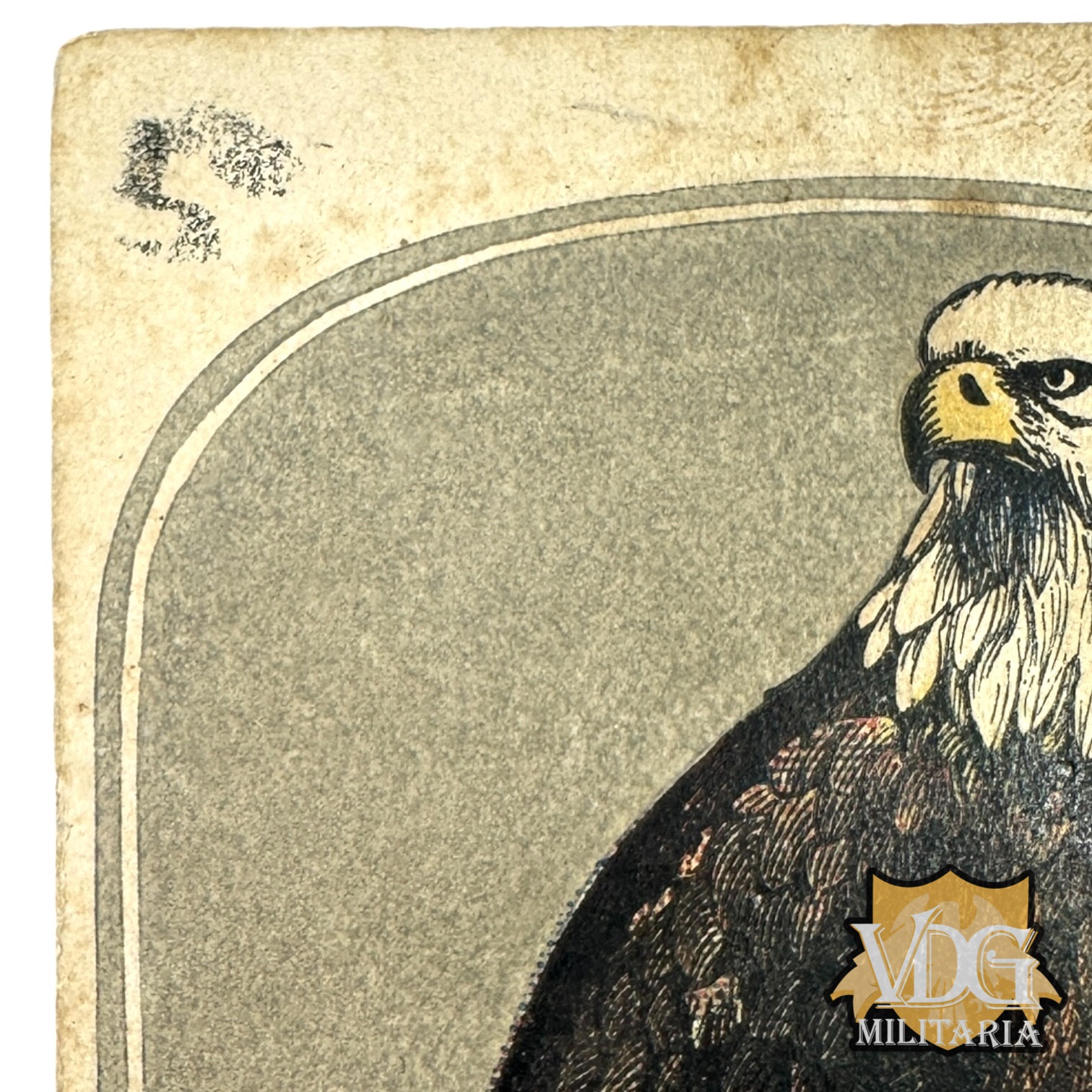 US Civil War Era Album Portrait Card of "Old Abe" - 8th Wisconsin ...