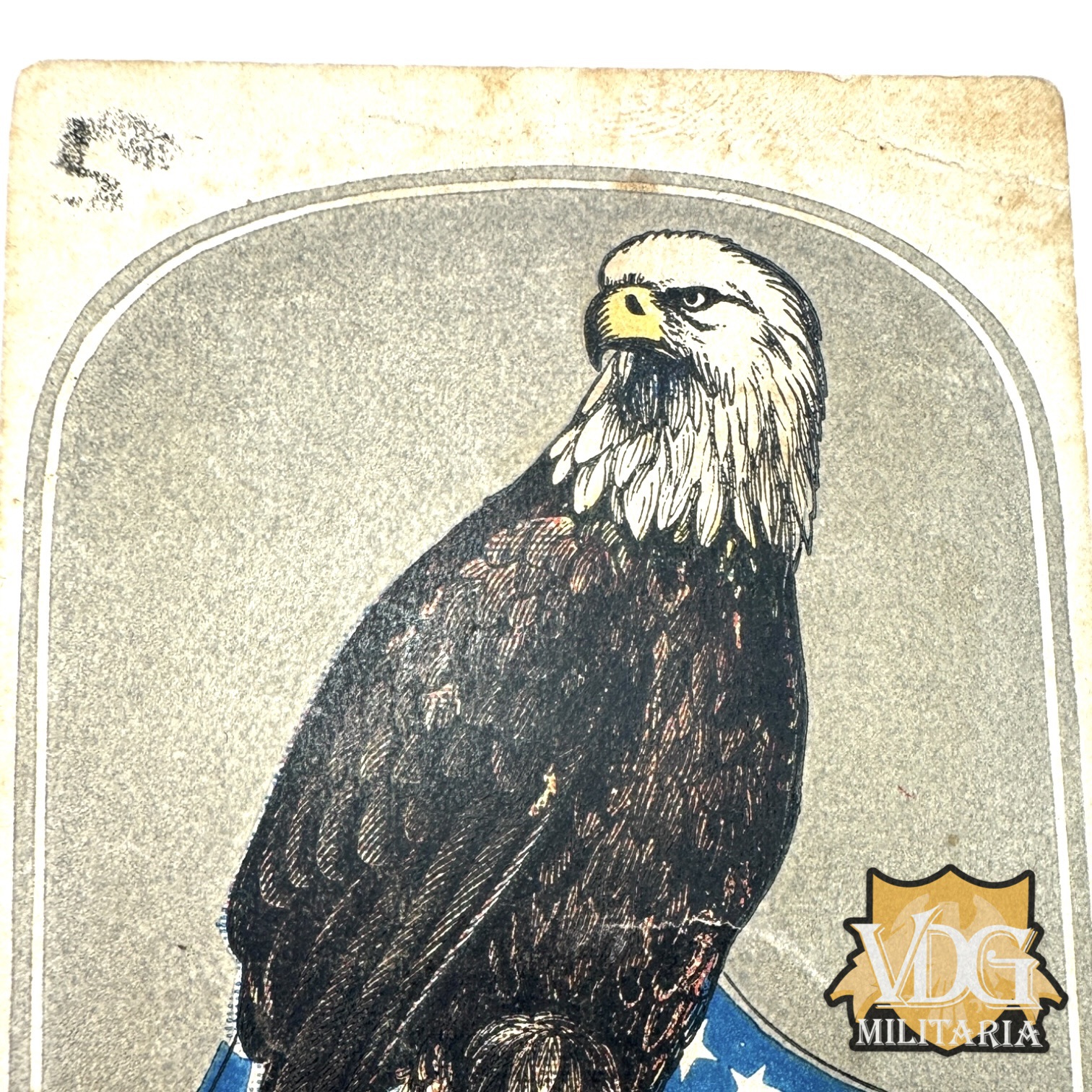 US Civil War Era Album Portrait Card of "Old Abe" - 8th Wisconsin ...