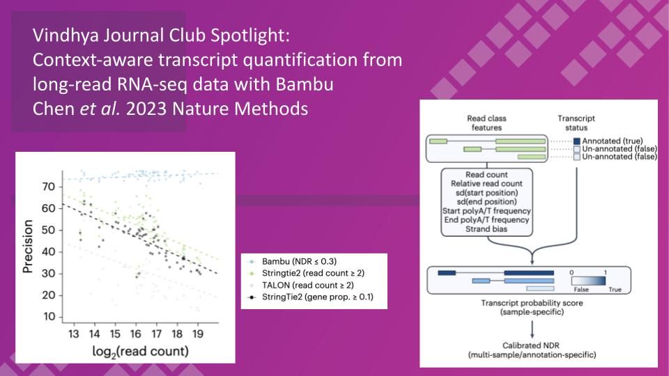 Vindhya Data Science