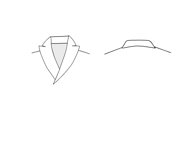 Trench Coat Sketches