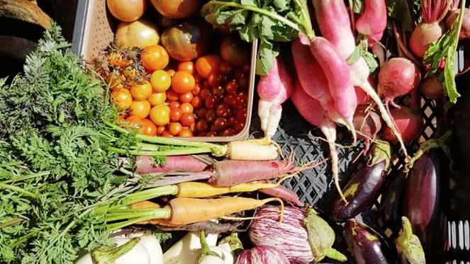 Find The Best Eats At These Fresh Produce Spots | Joburg.co.za | Your ...