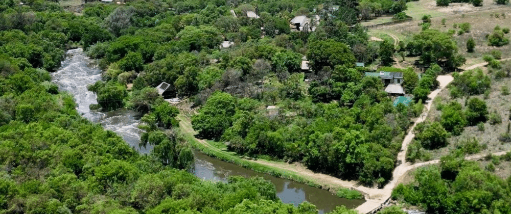 Forestiva Farm: A Nature Lover's Paradise | Joburg.co.za | Your ...